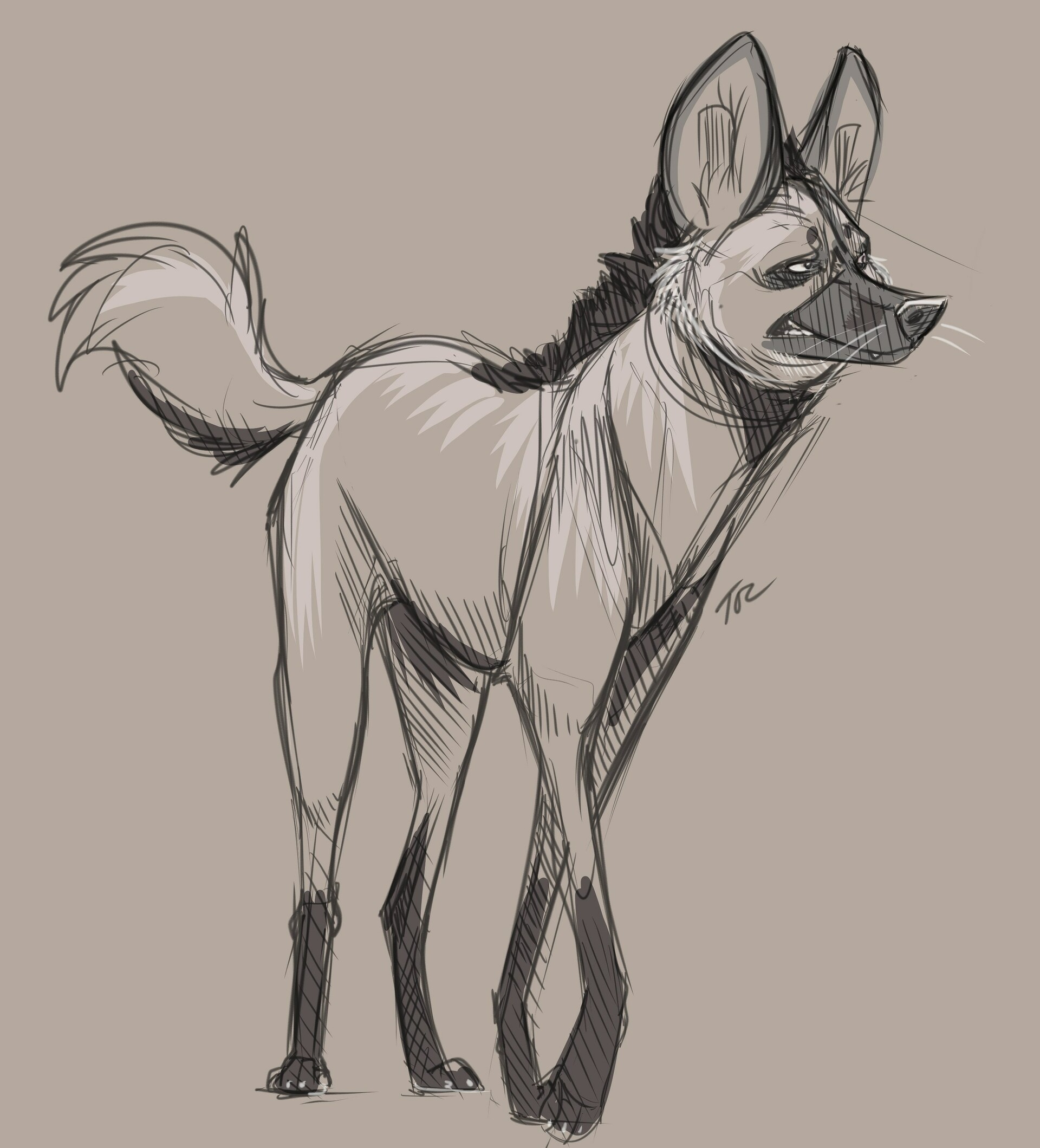 ArtStation - Maned Wolf