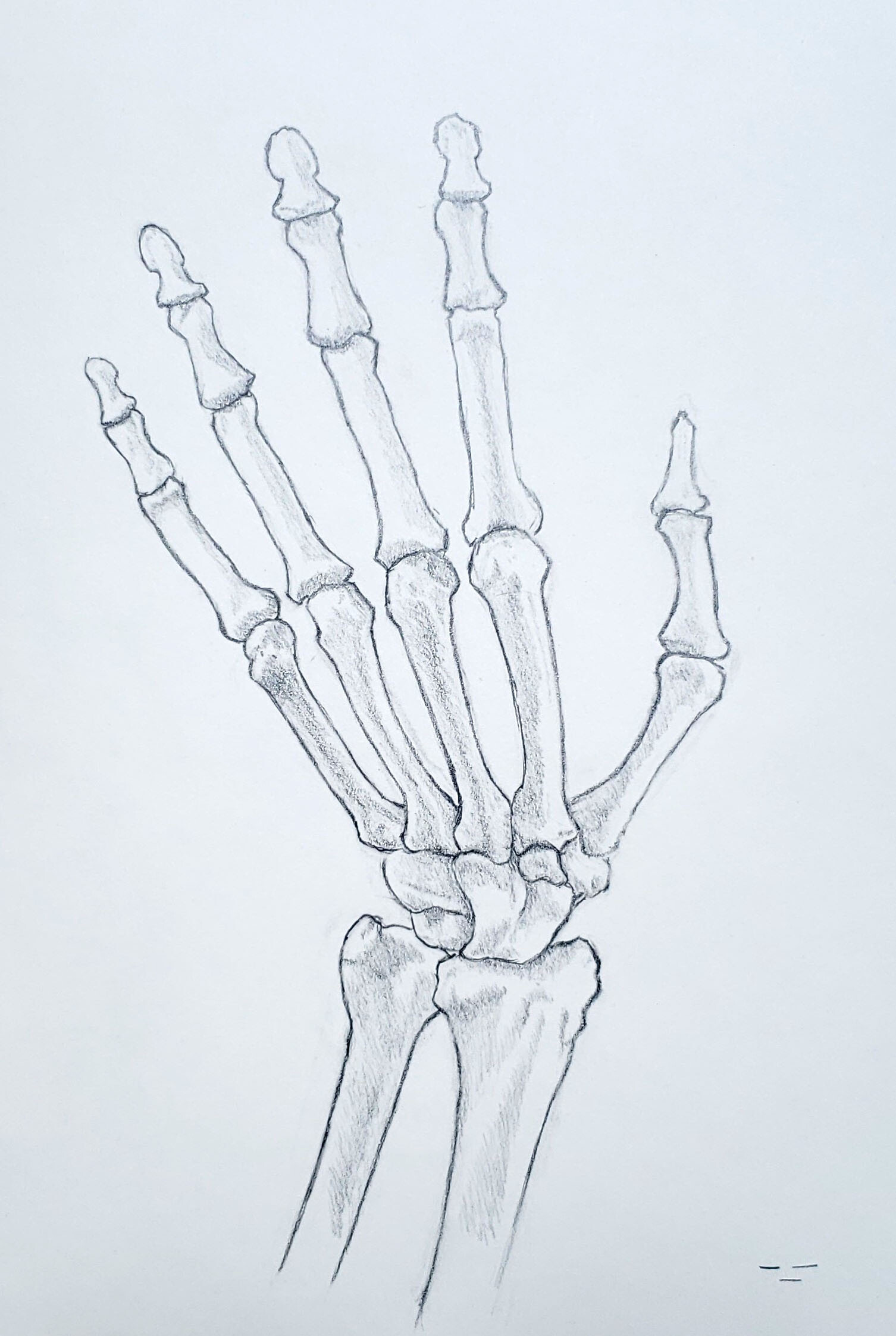 Hand Bones Drawing