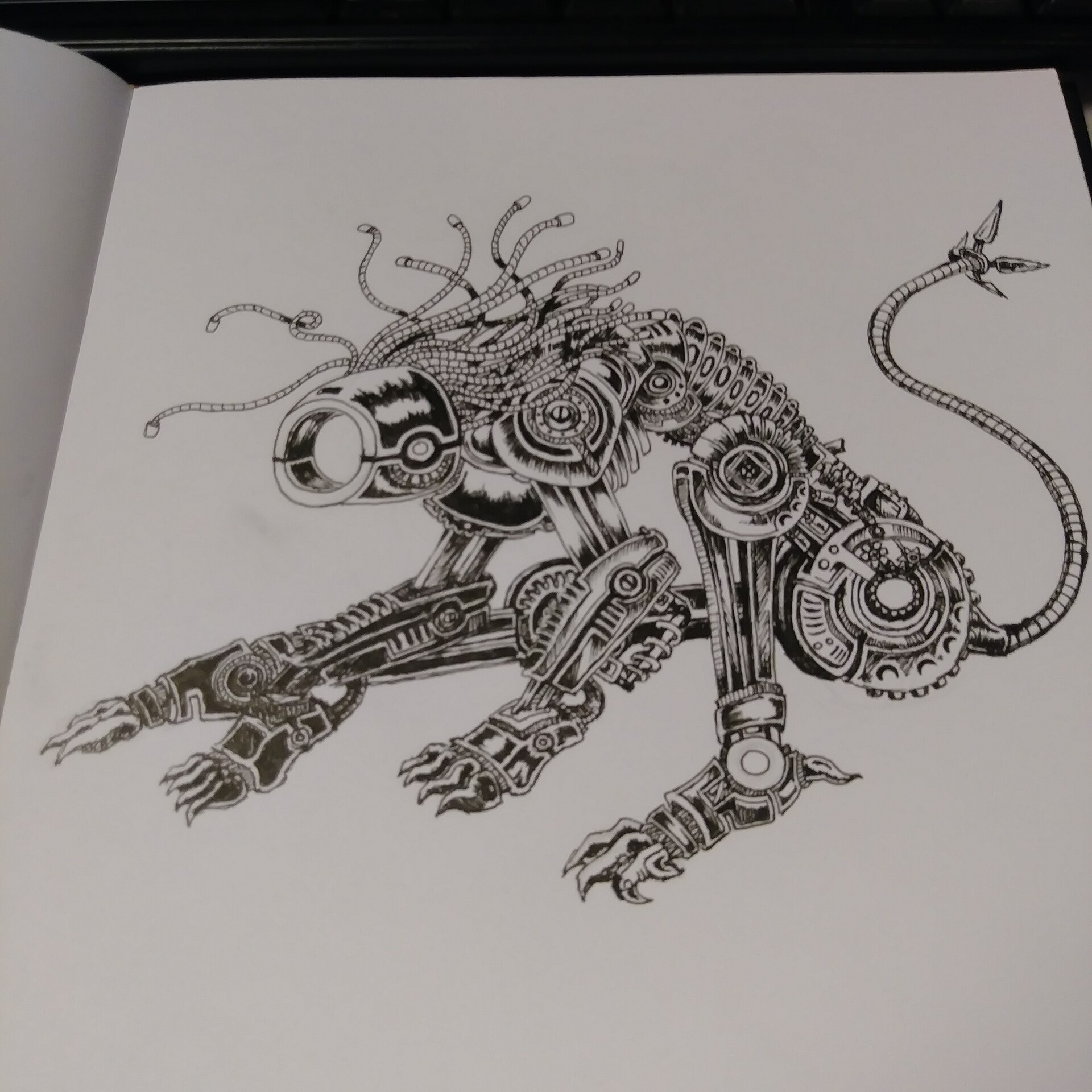 ArtStation - Robo_cat