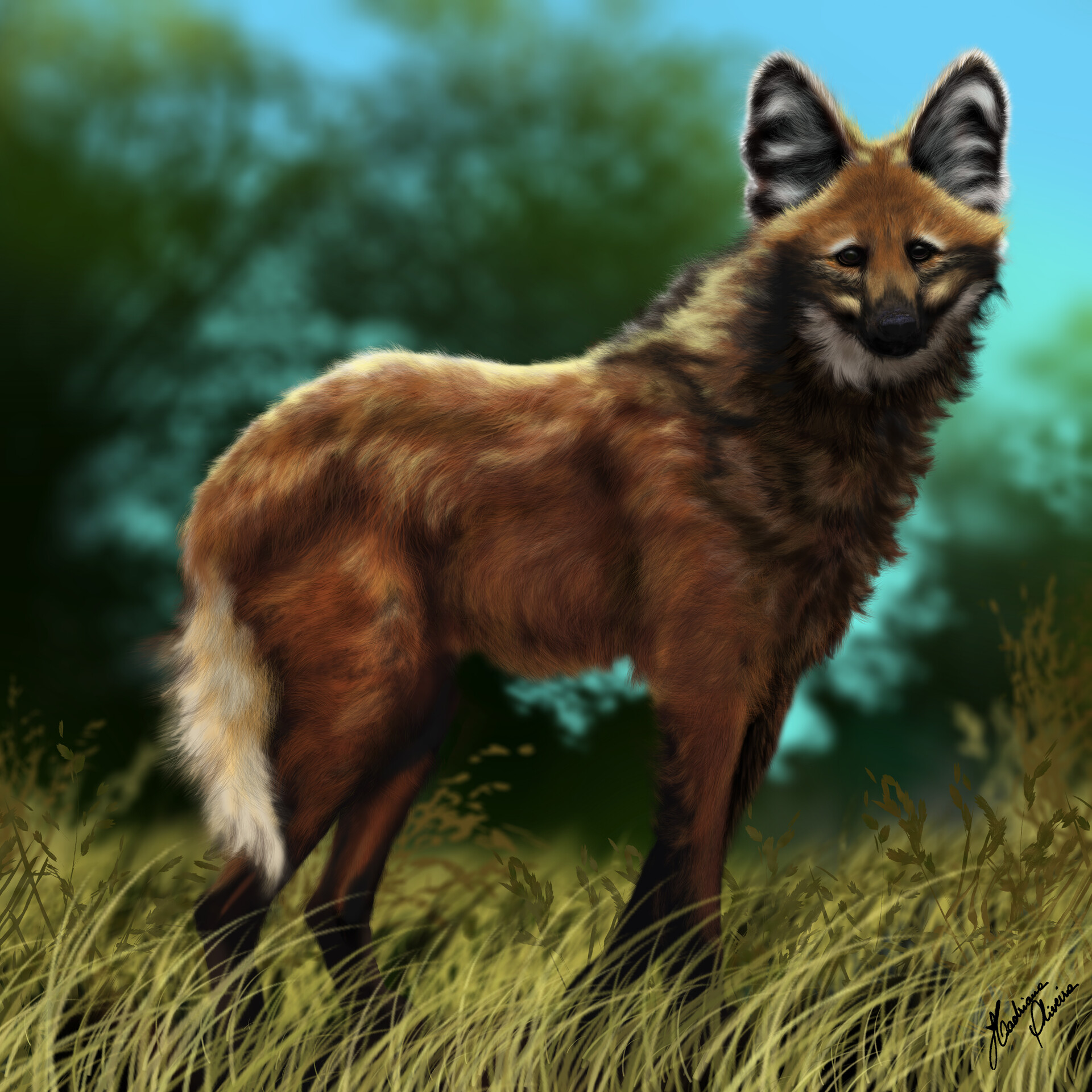 ArtStation - Maned Wolf Digital Painting