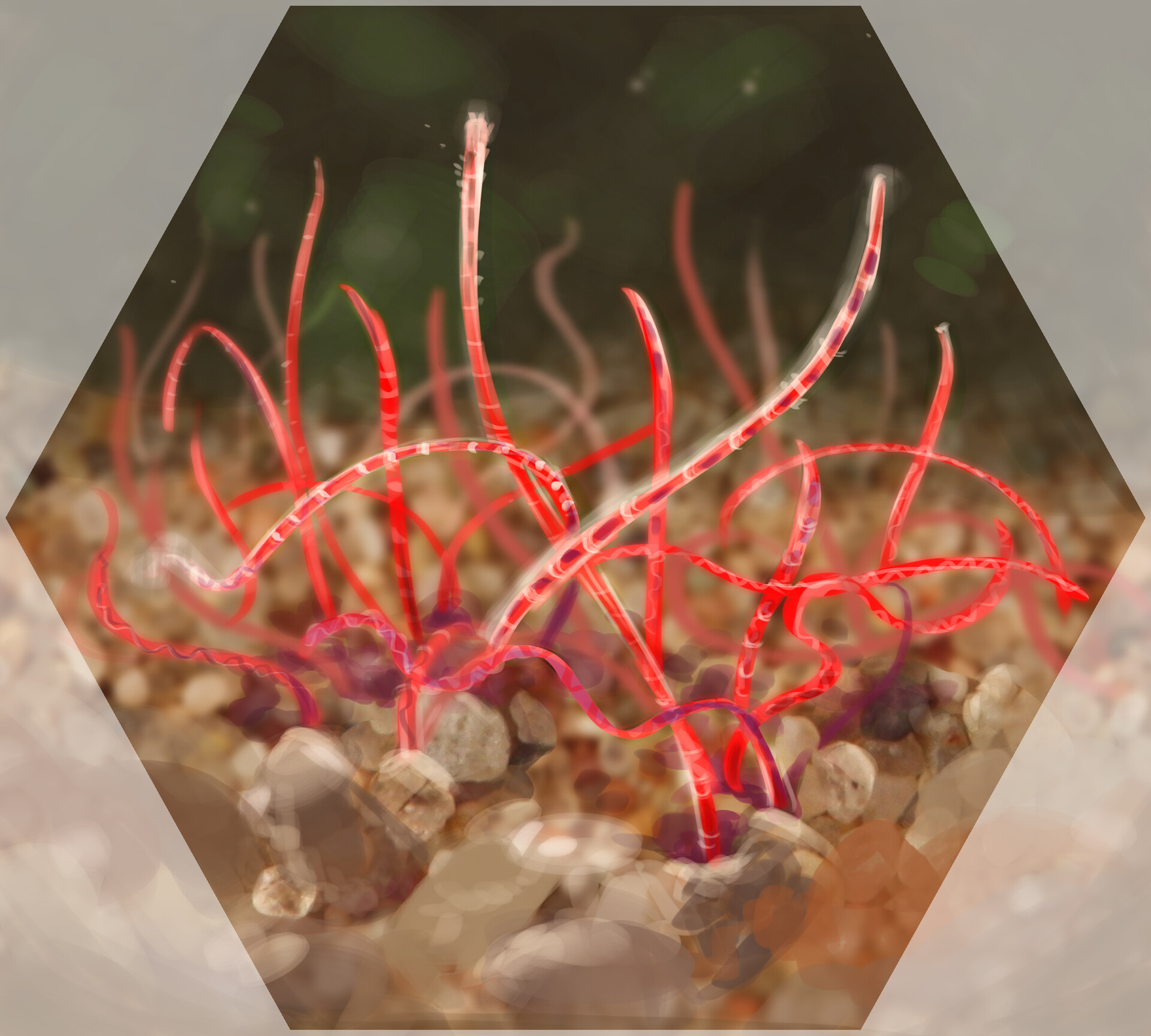 ArtStation - Tubifex tubifex // Sludge worm