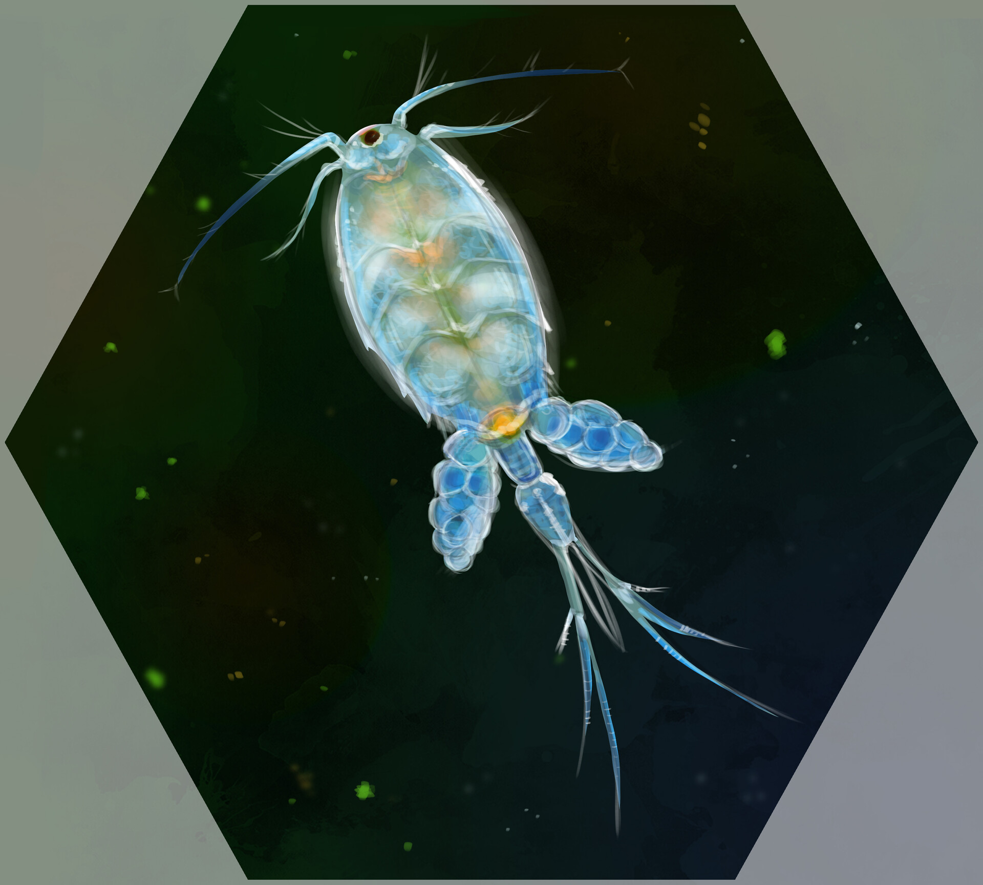 ArtStation - Cyclops // Freshwater copepod