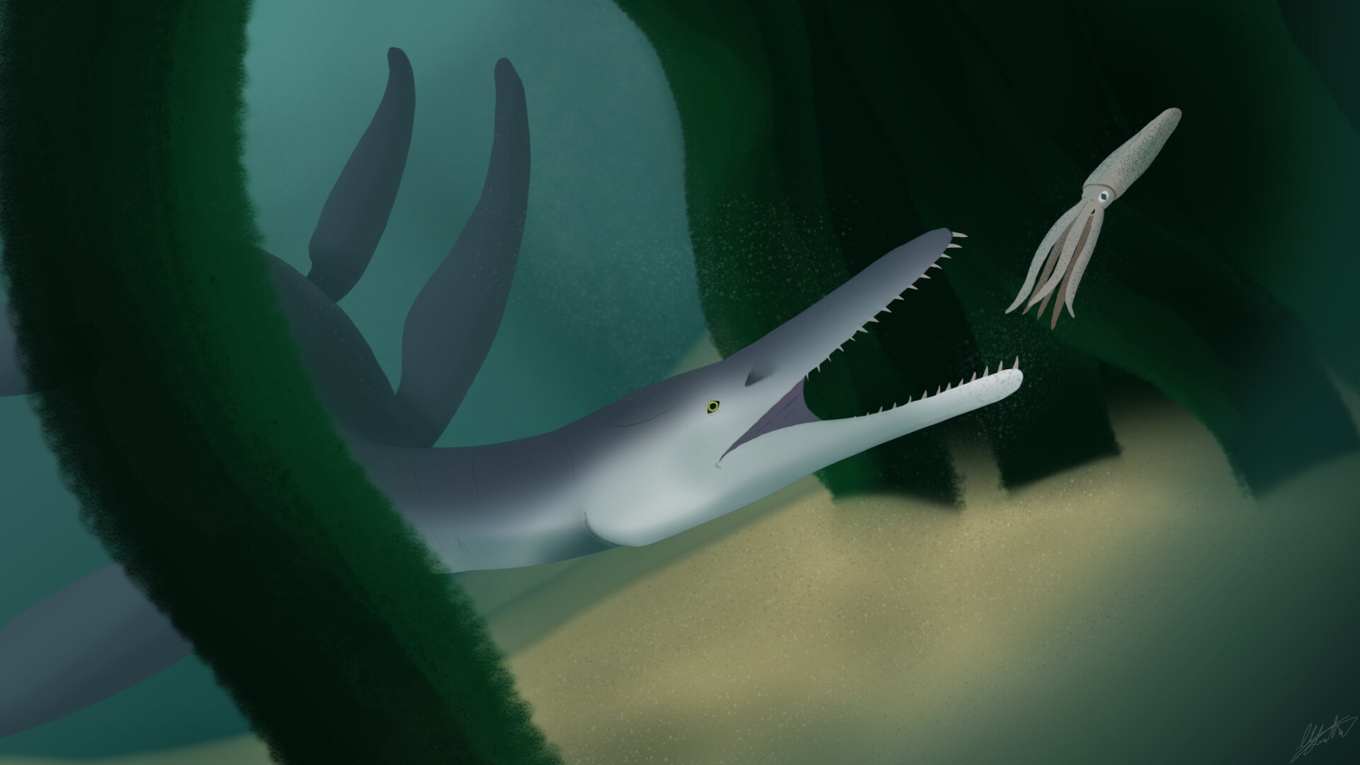 ArtStation - Dolichonrhynchops Osborni