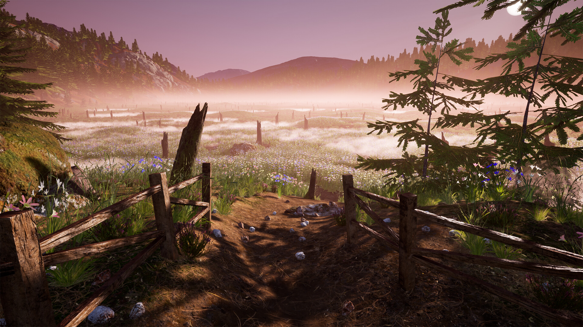 Nicholas D'Alfonso - Procedural Terrain & Scattering