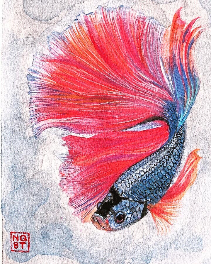 ArtStation - FISH - STUDY PHOTO