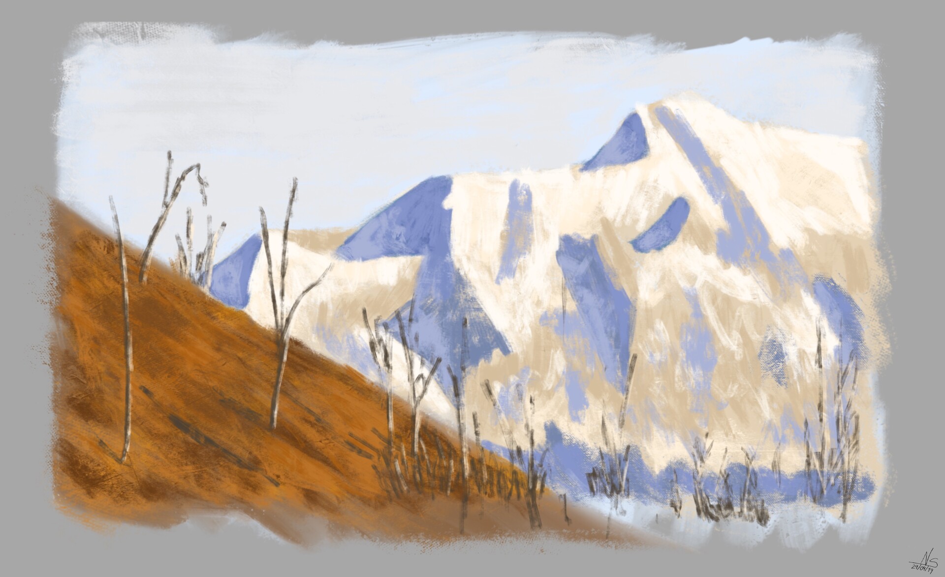 Nicolas Suarez - Color study