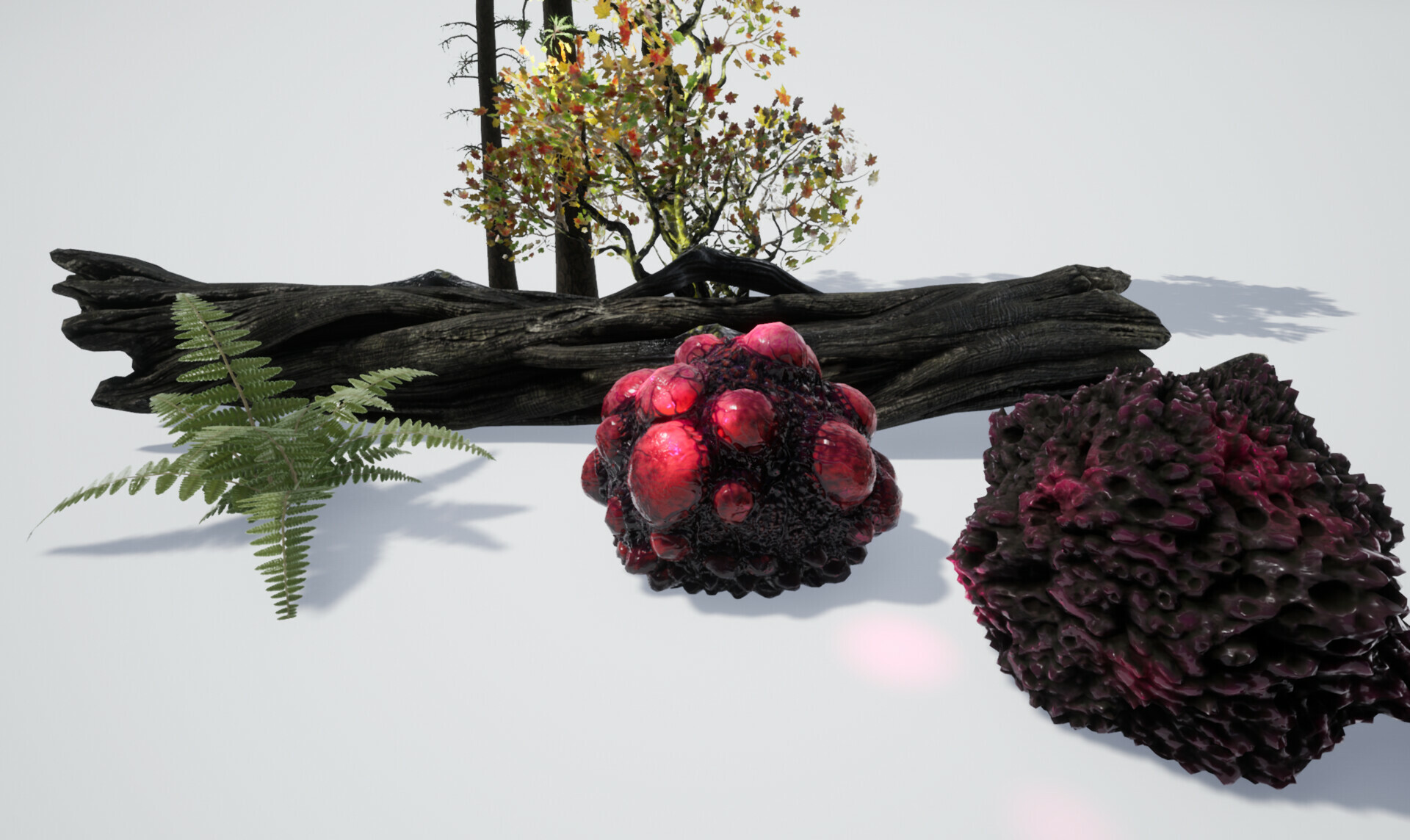 Viktoria Didenko - Darkwood:The Talking Tree - breakdown