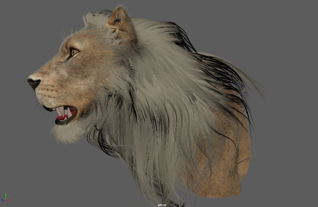 ArtStation - Grooming with Yeti and Maya