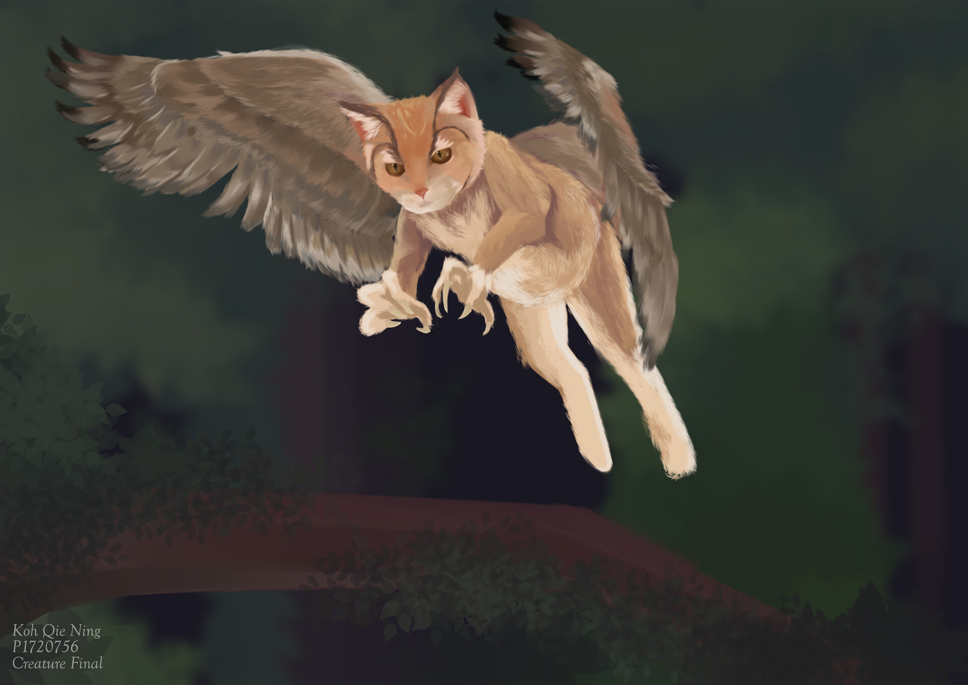 ArtStation - Meowl Animal Hybrid