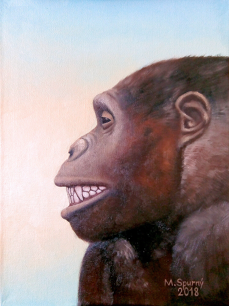 ArtStation - Proconsul