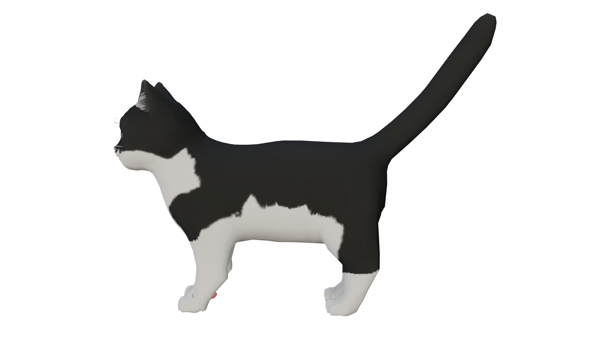 Fina Nz21 - Cat model for MMD commission