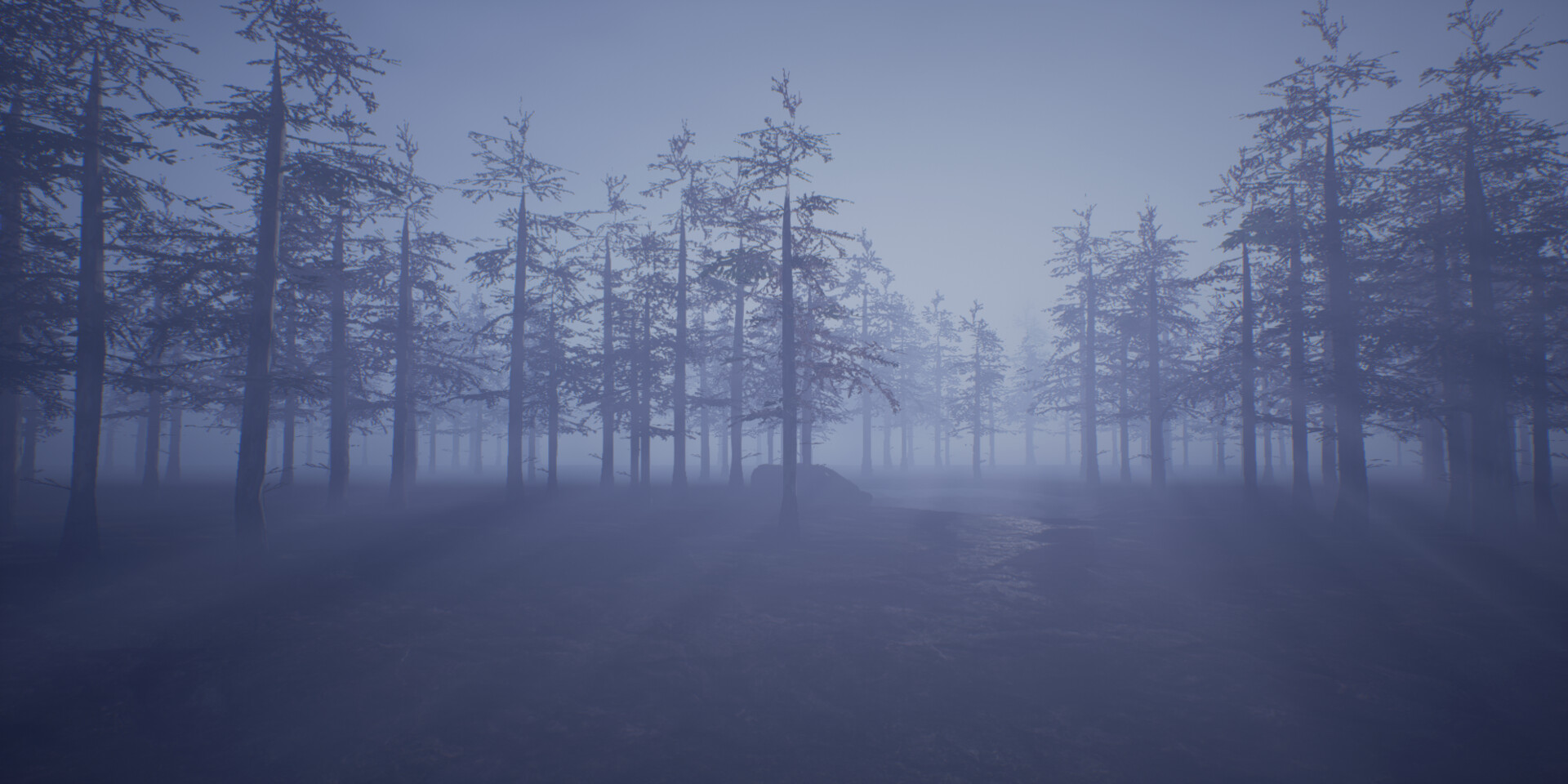 ArtStation - Misty Dark Forest