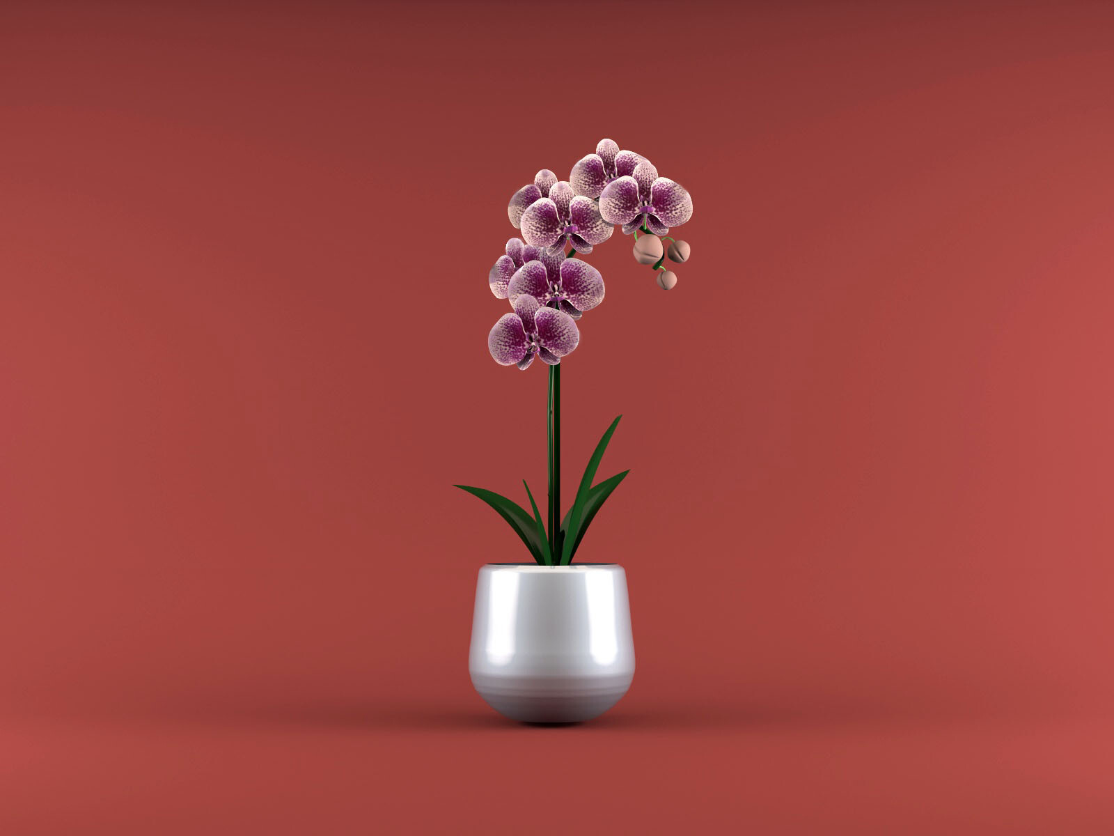 ArtStation - 3D model Orchid flower