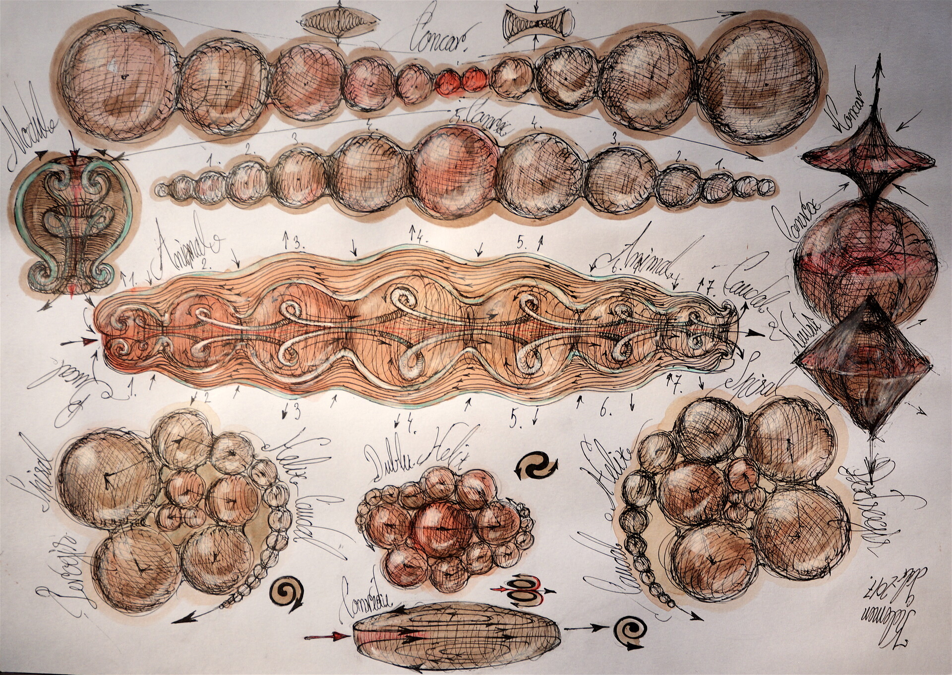 ArtStation - Sphere/Vortex animal archetype