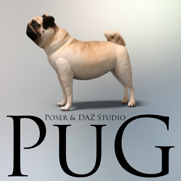 ArtStation - Pug