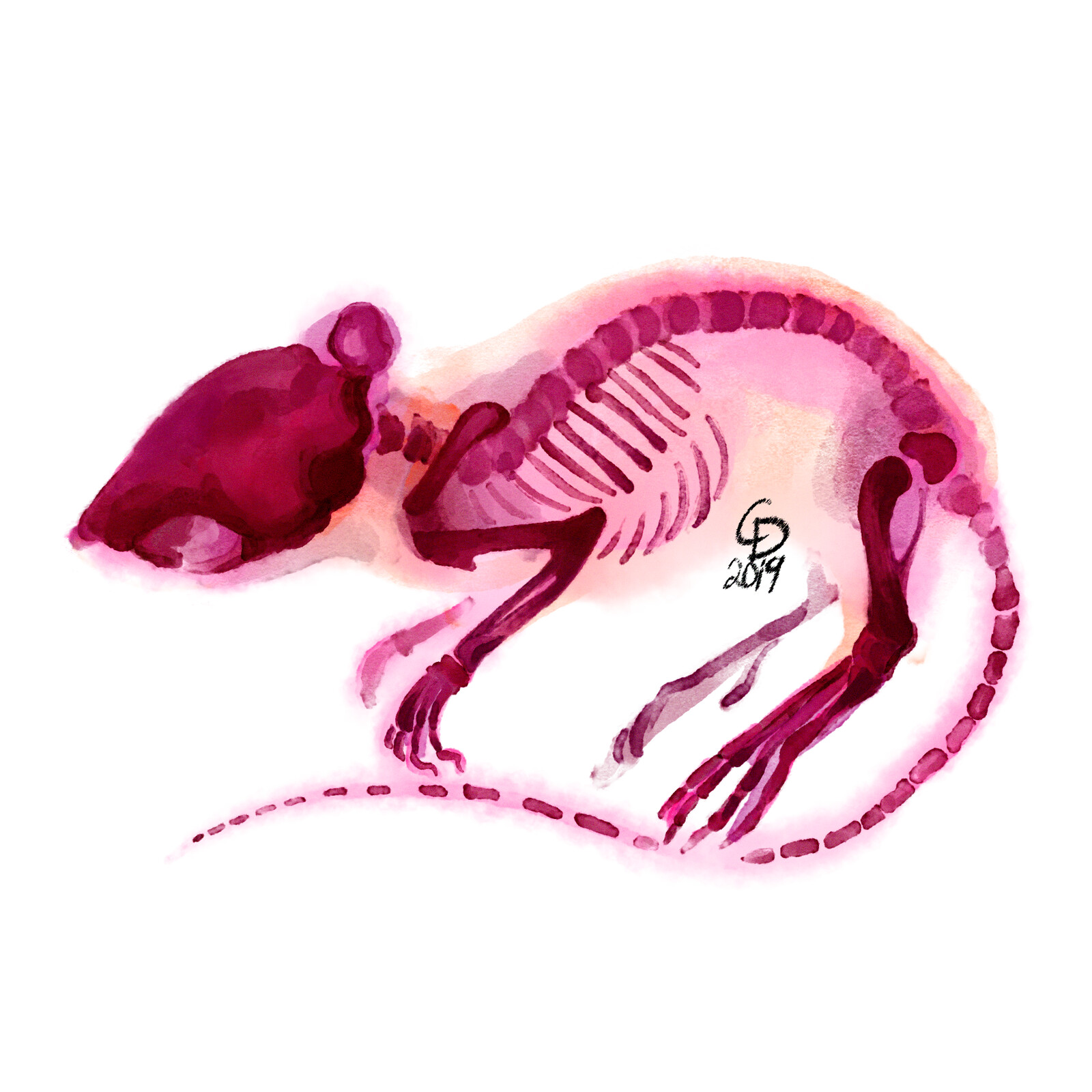 Sarah Connell - Diaphonized Specimens