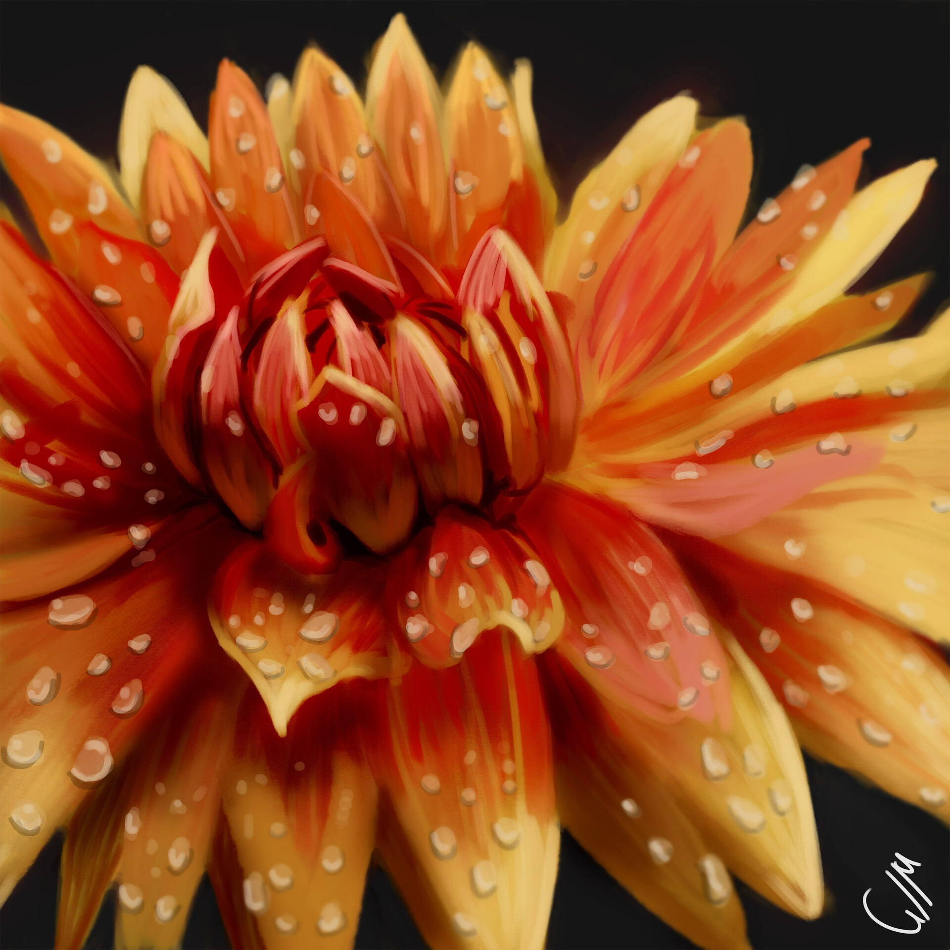 ArtStation - Flower studies (Digital)