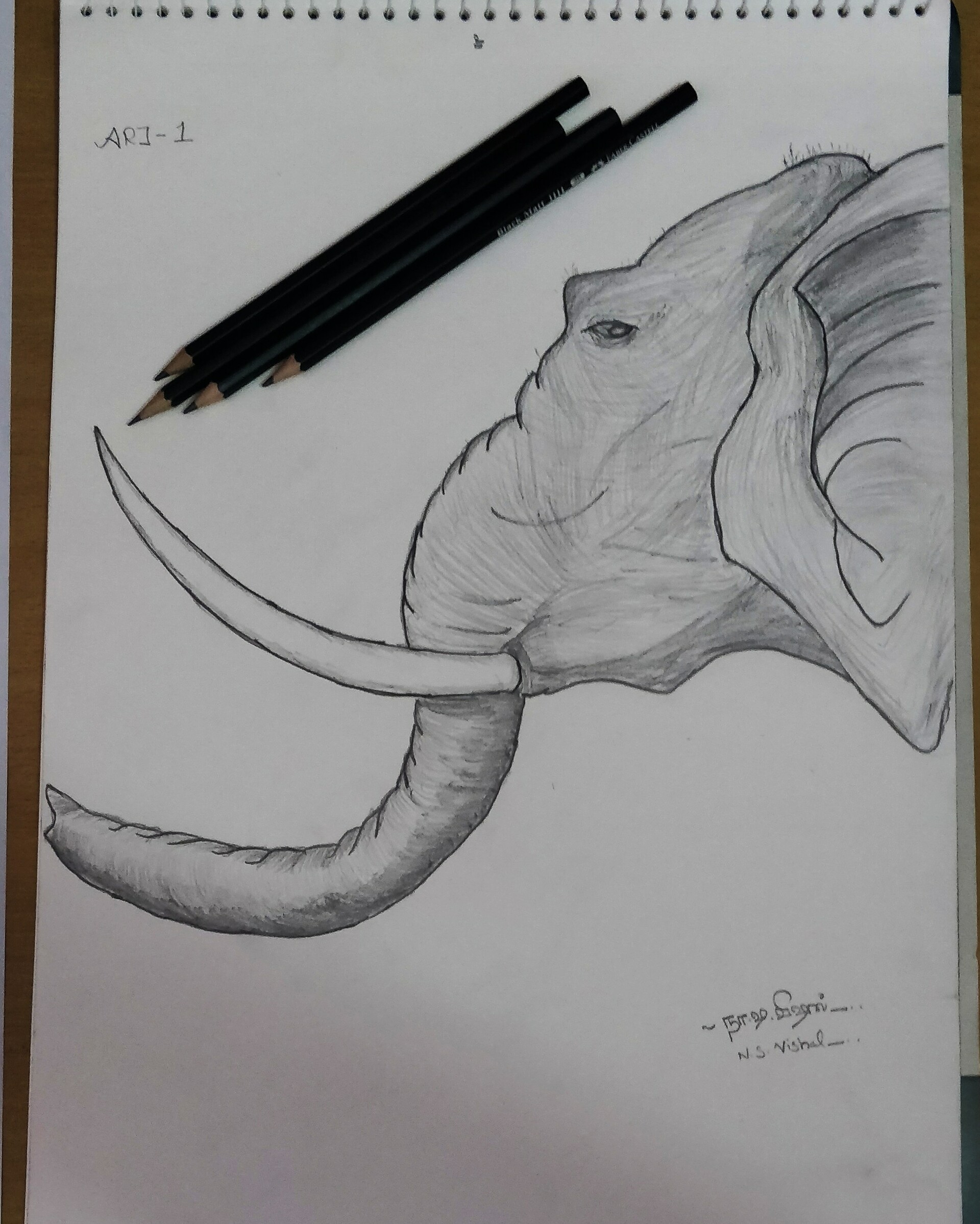 ArtStation - First pencil art...