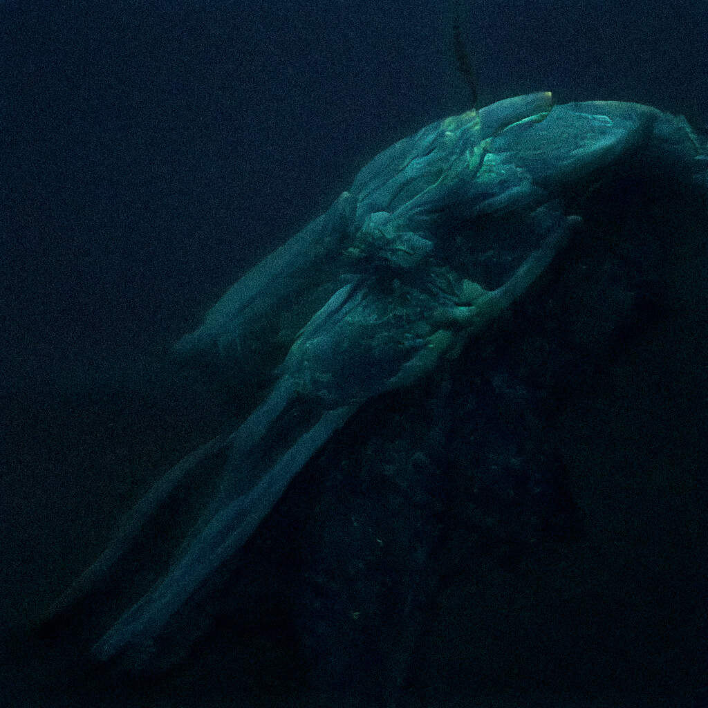 ArtStation - Cthulhu and the Deep Dreamers