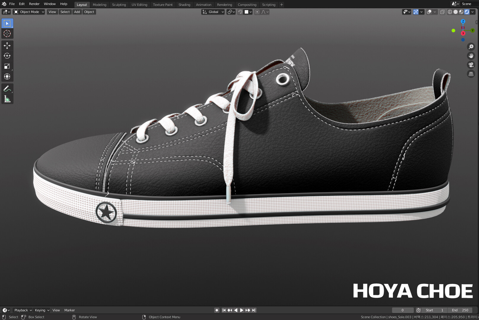 Hoya Choe 호야초 - Sneakers modeling