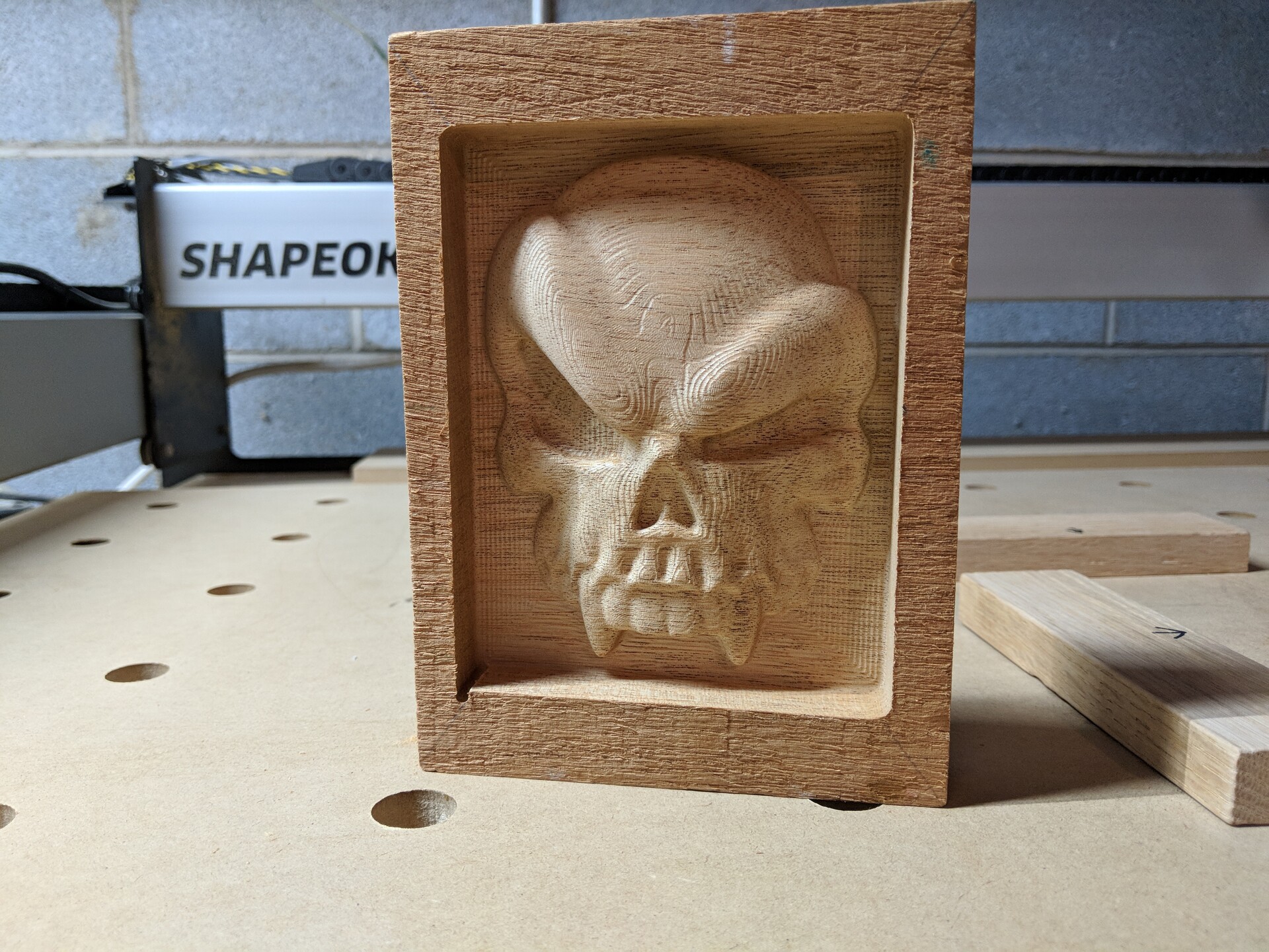 ArtStation - Skull (Cut on Shapeoko CNC)
