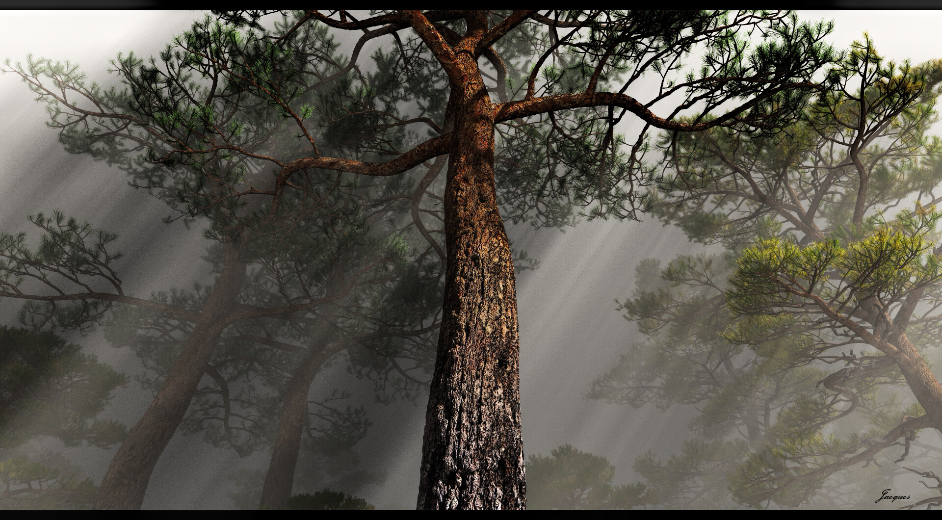 ArtStation - Pine Forest