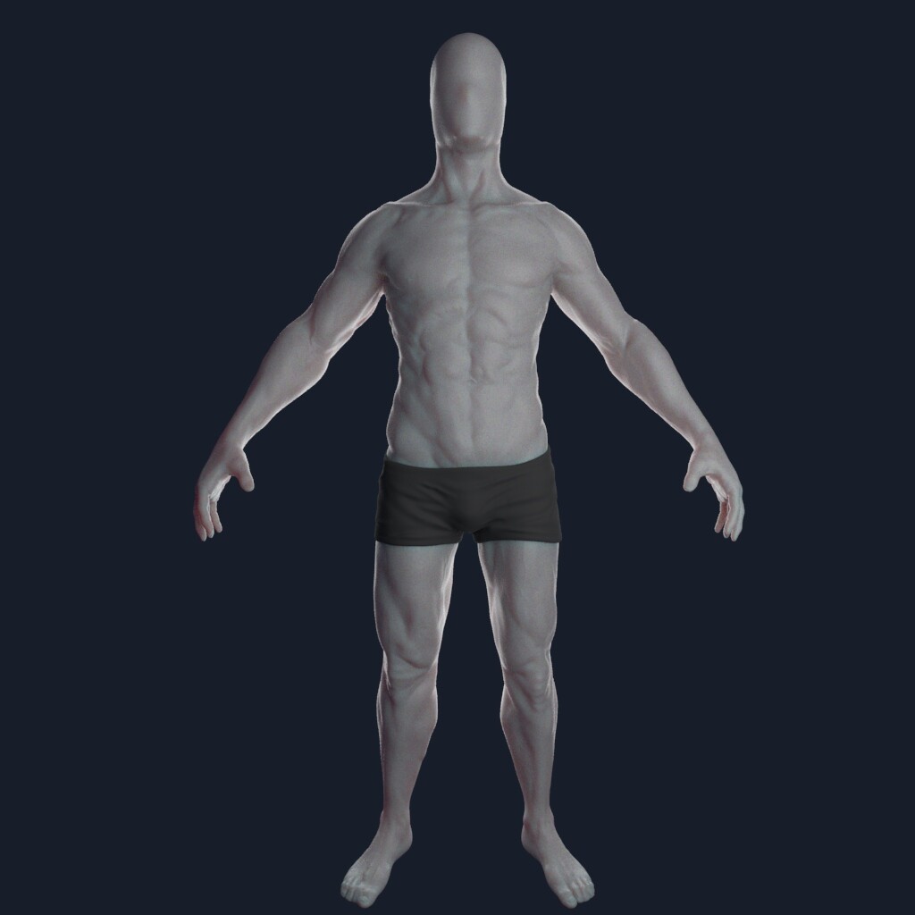 ArtStation - Male Anatomy Study