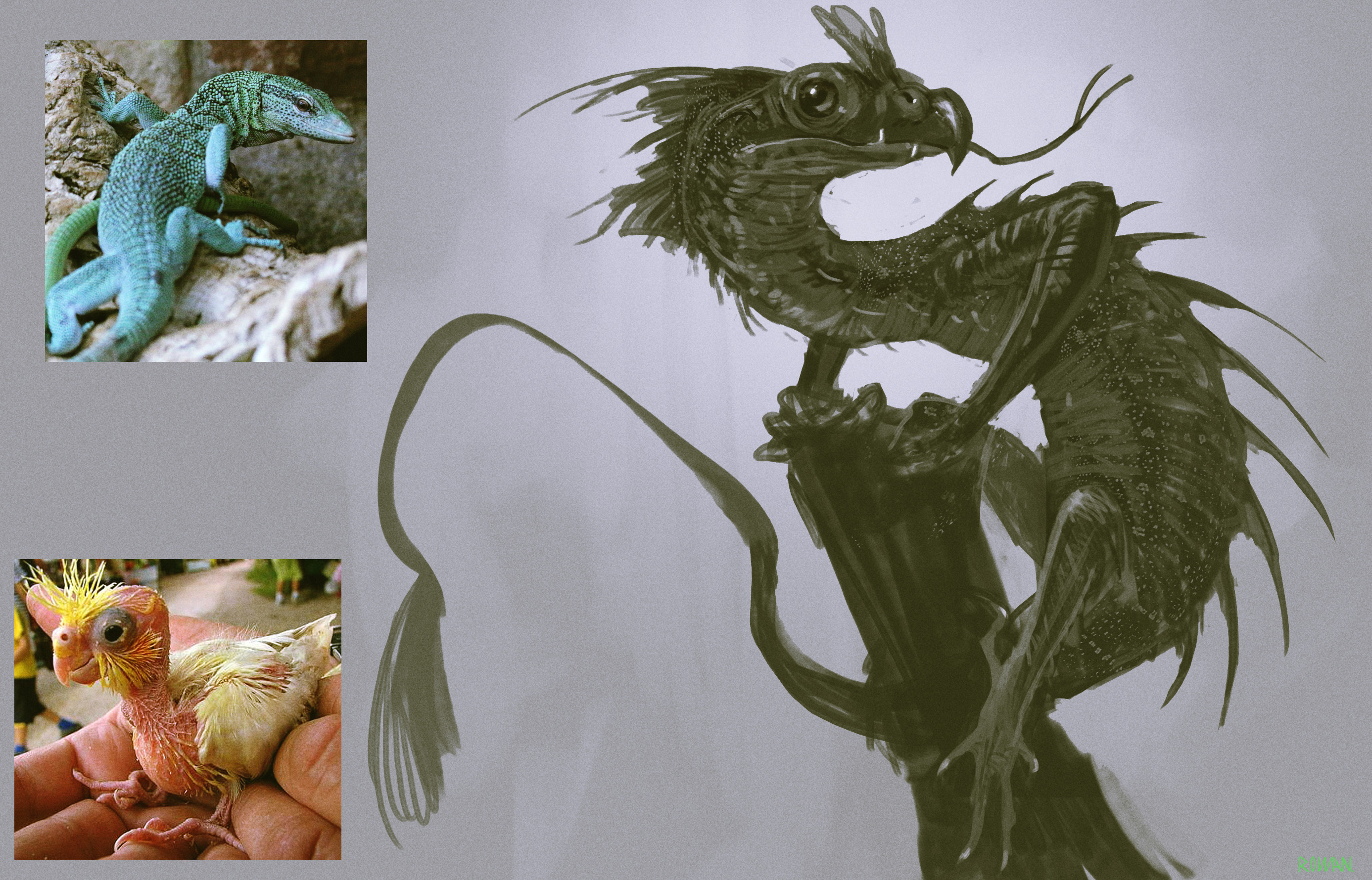 Sam Rowan - Fantastic Beast 2 : Crime of Grindelwald - Early Chupacabra ...