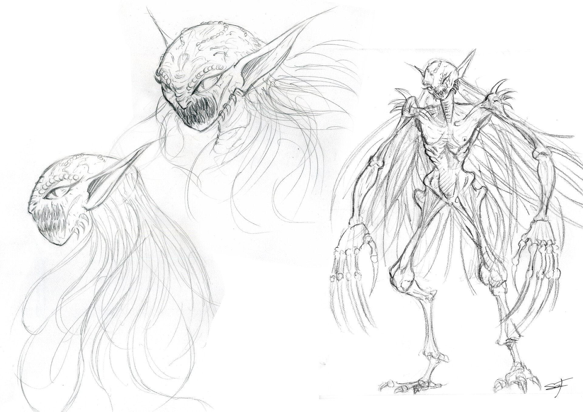 ArtStation - Chara-design fantasy creature