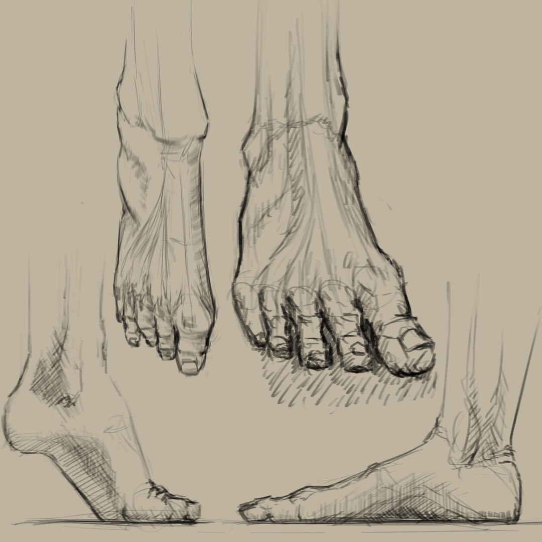 ArtStation - Foot Anatomy Studies