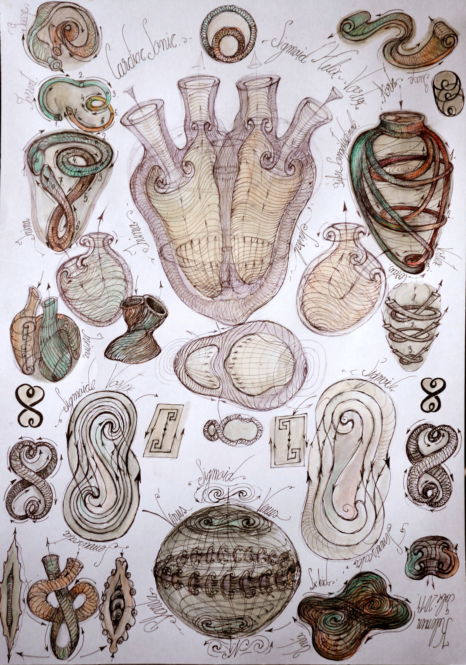 ArtStation - Heart Vortex lemniscate