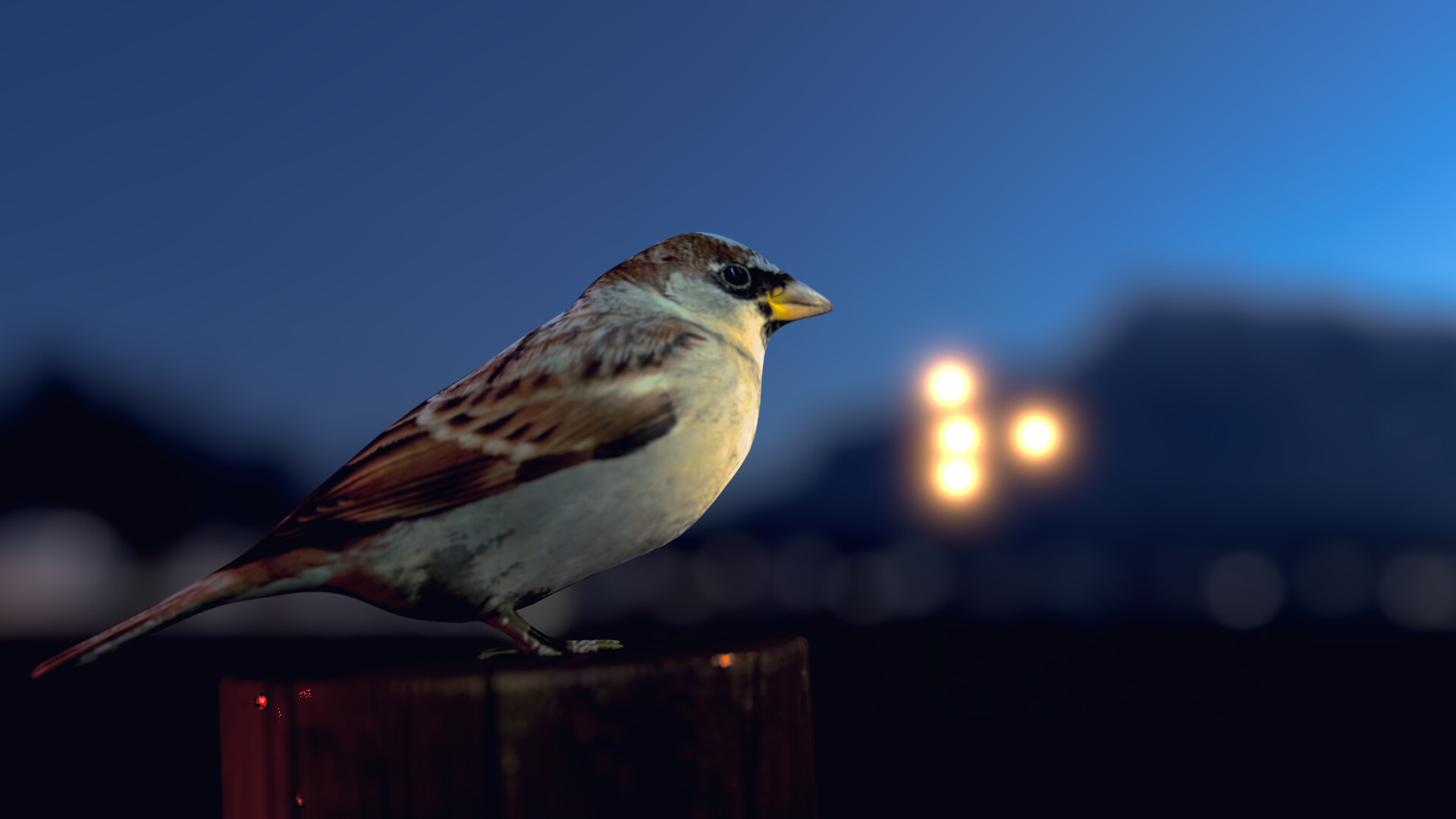 ArtStation - #sparrow #3d modeling #blender