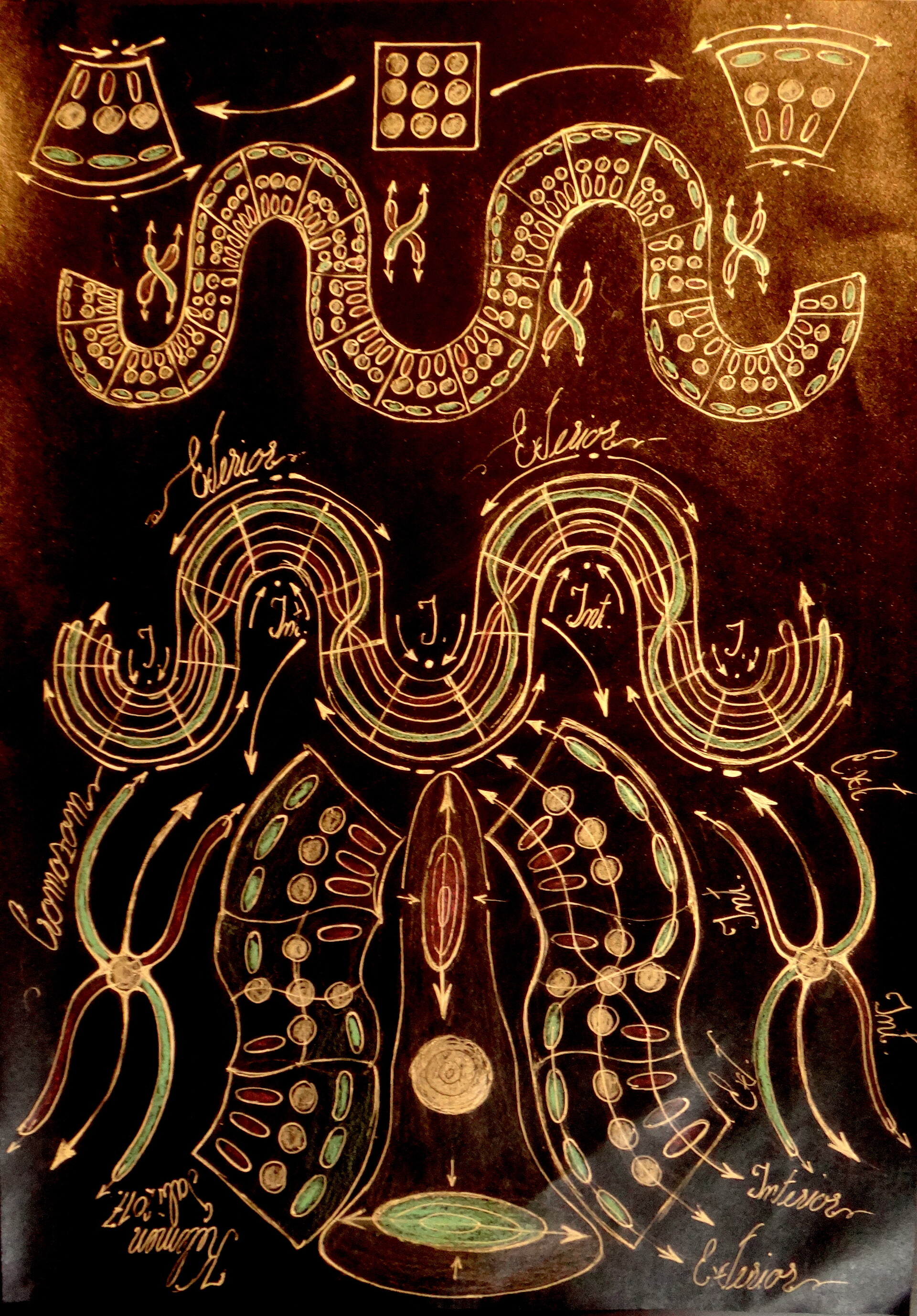 ArtStation - meander fluid L/D