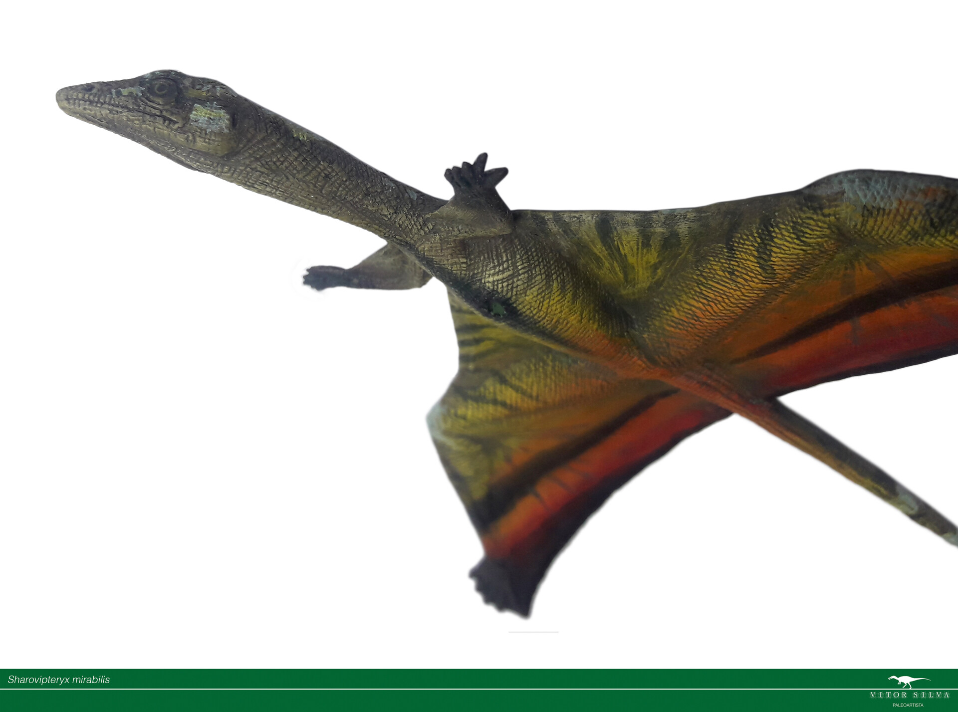 Vitor Silva - Sharovipteryx