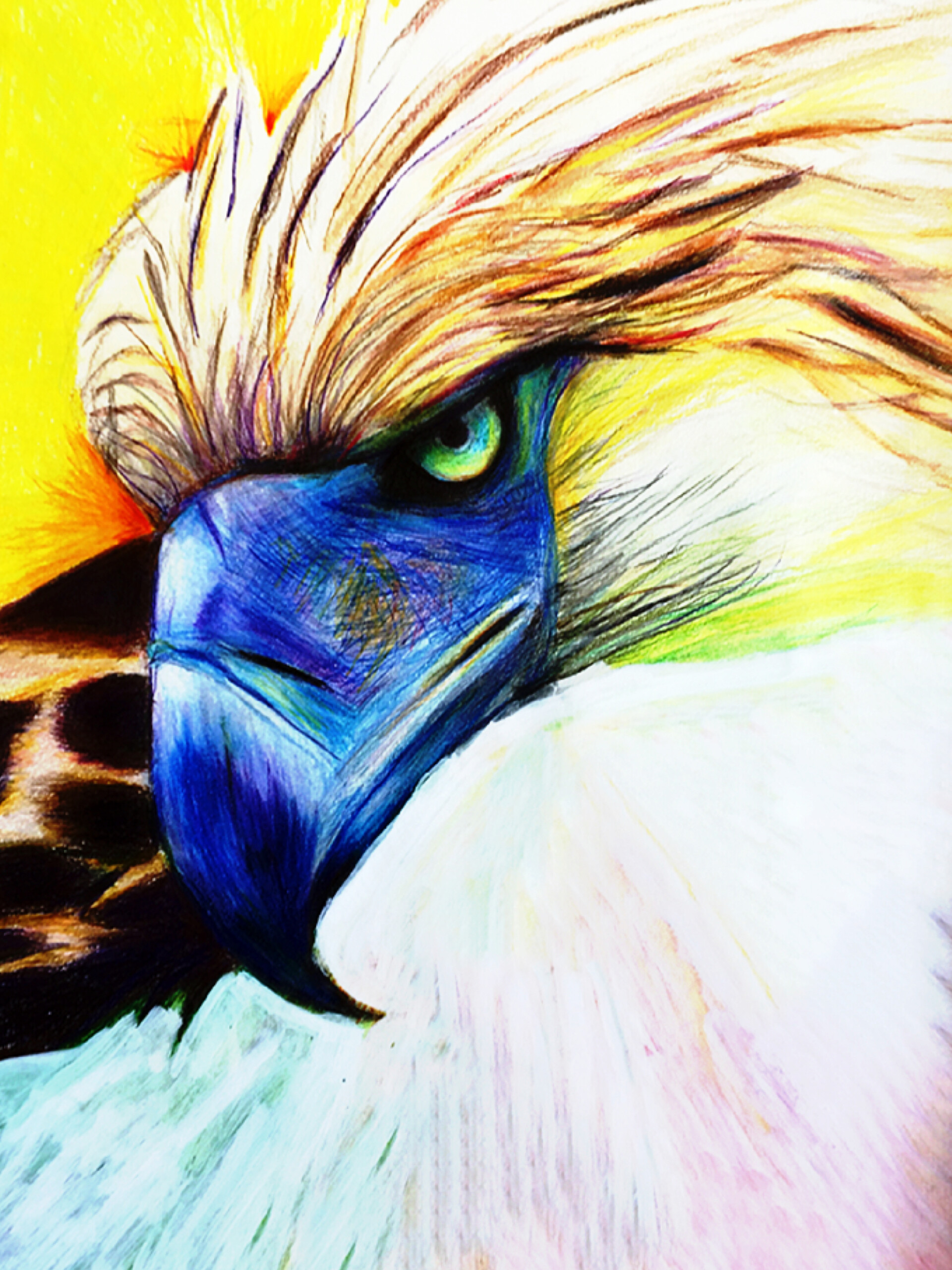 ArtStation - Águia/ Eagle