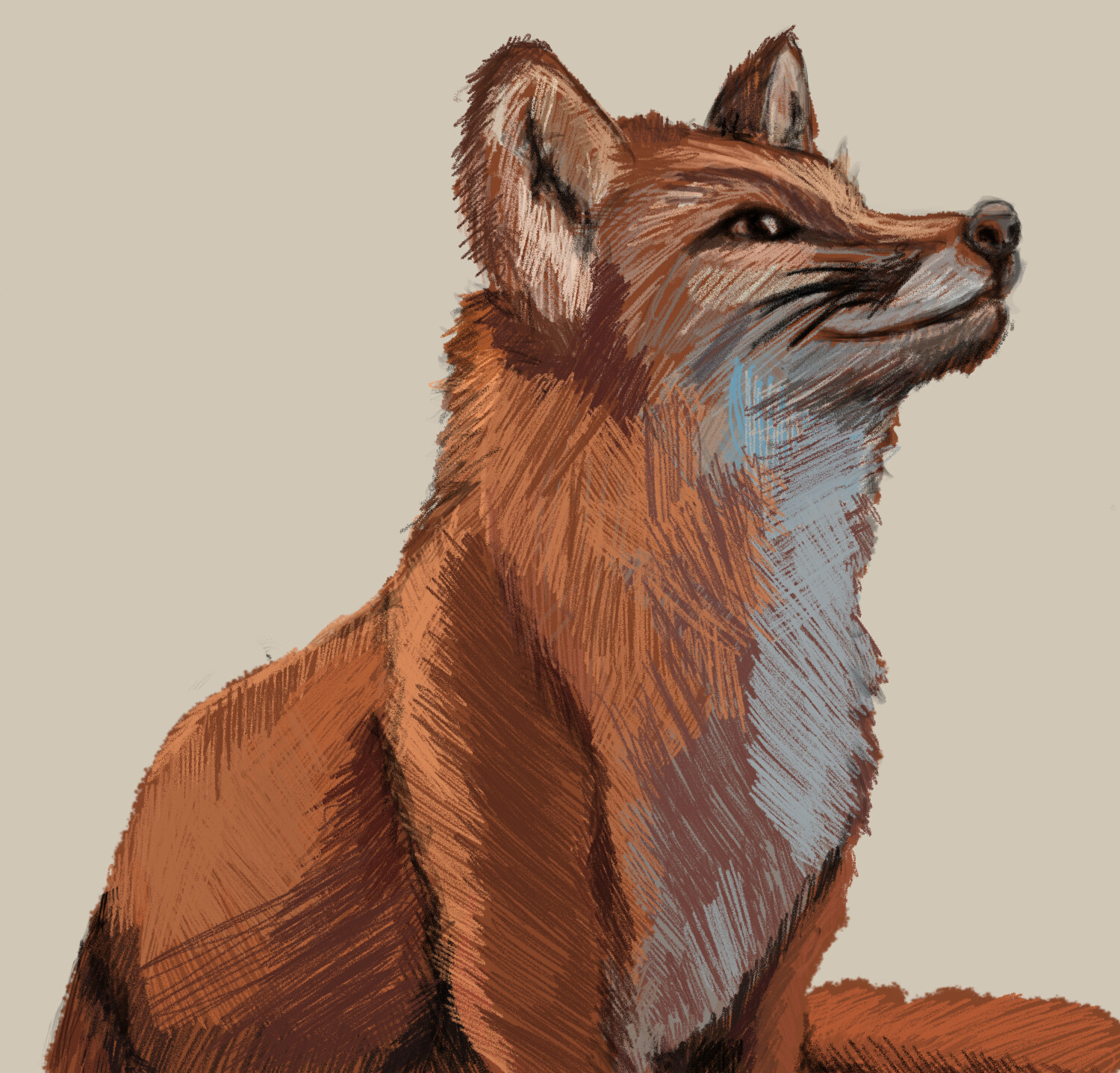 ArtStation - Fox art