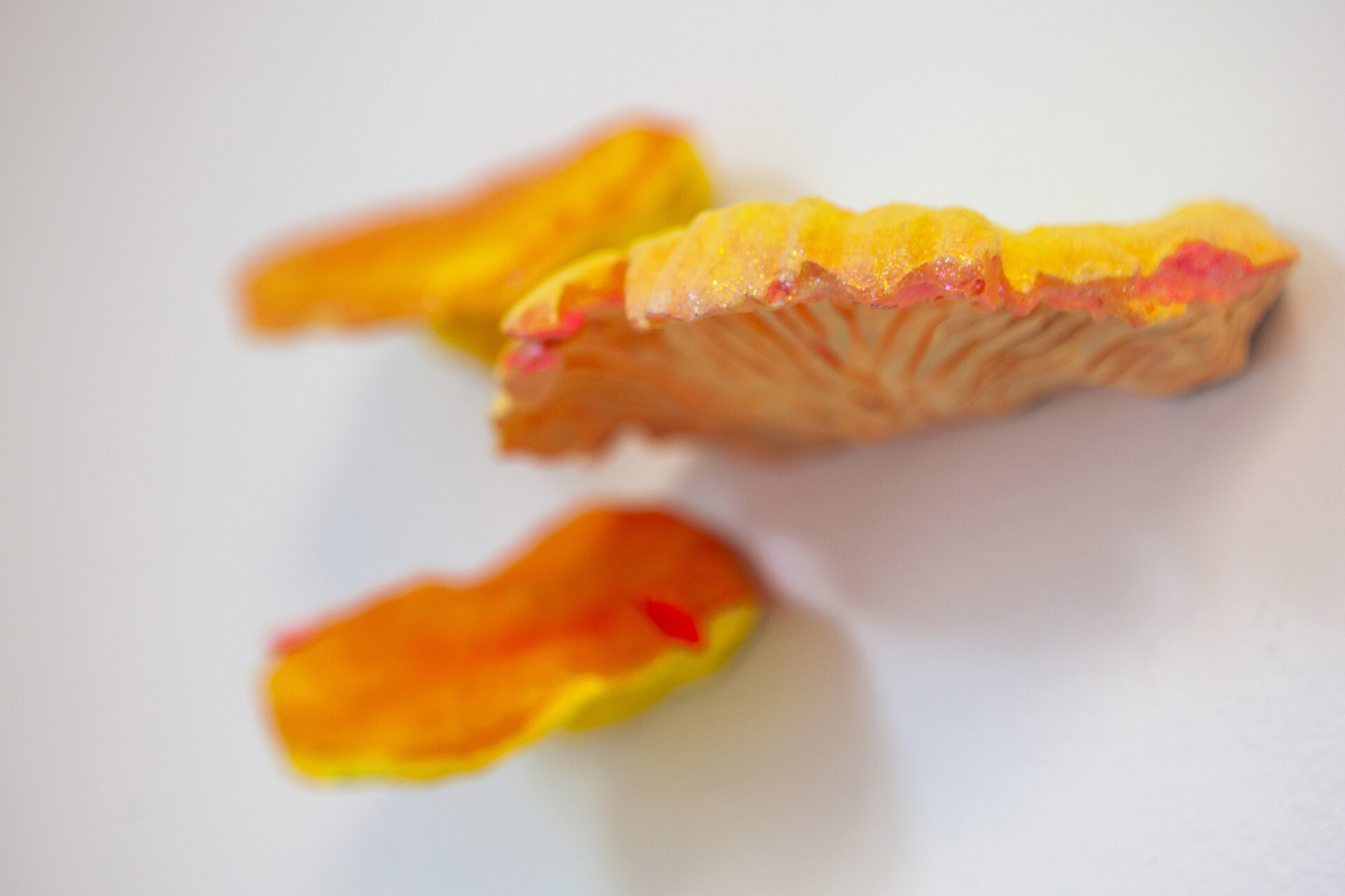 Madison Haws - Fluorescent Fruited Fungal Bodies