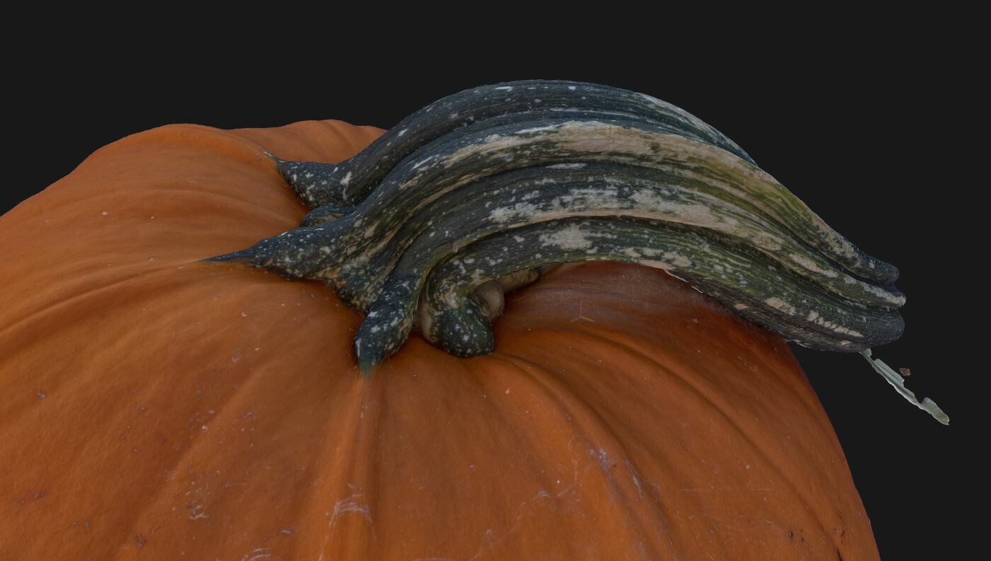 ArtStation - Medium Pumpkin