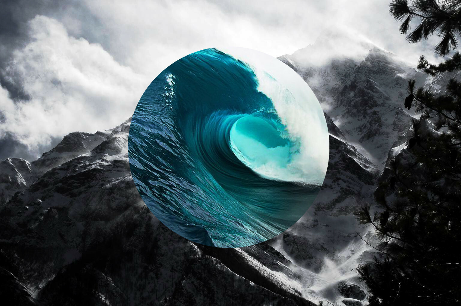 Larisa Isaeva - Contrasting Graphic Design