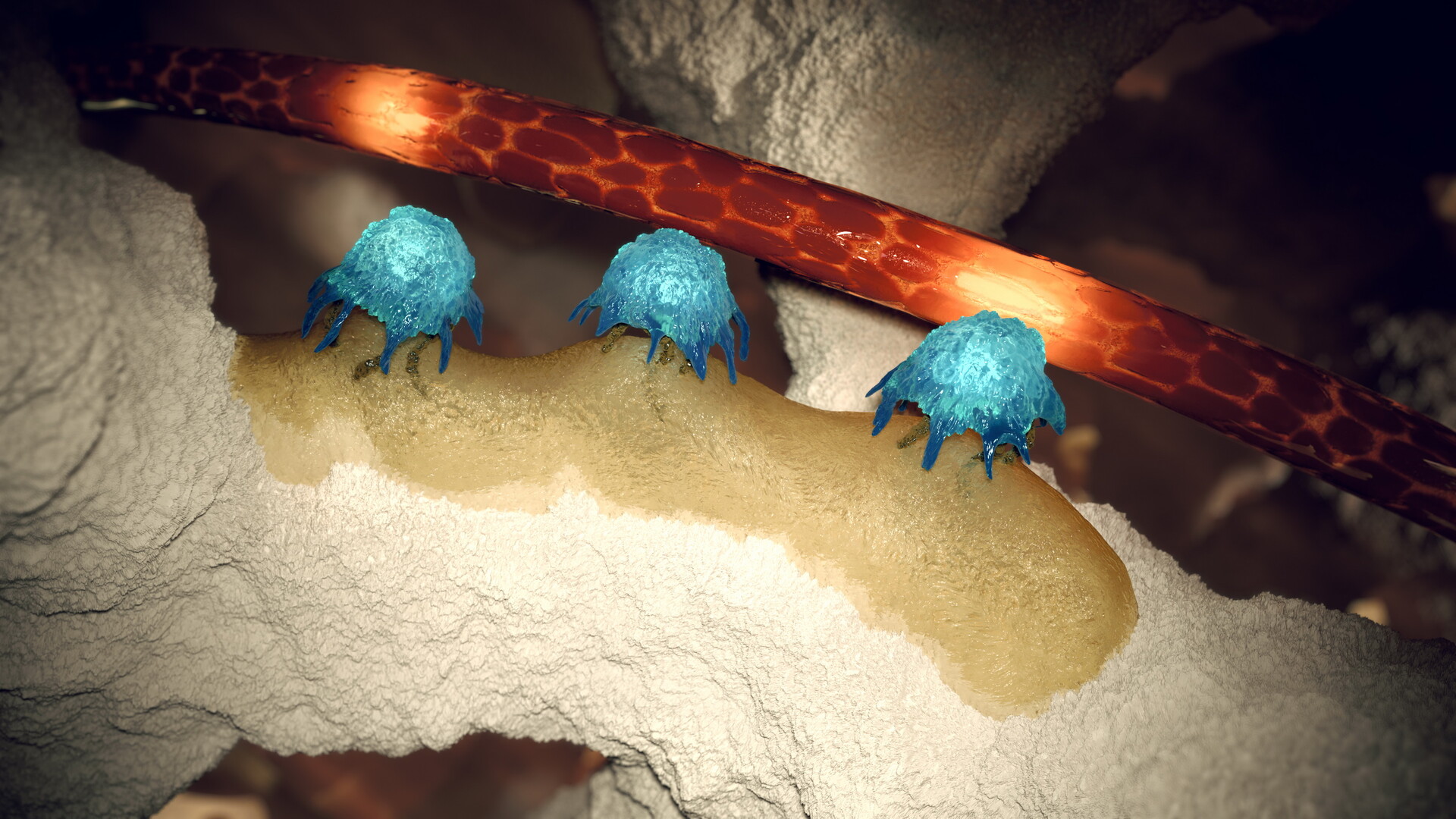 ArtStation - Stills from medical animation