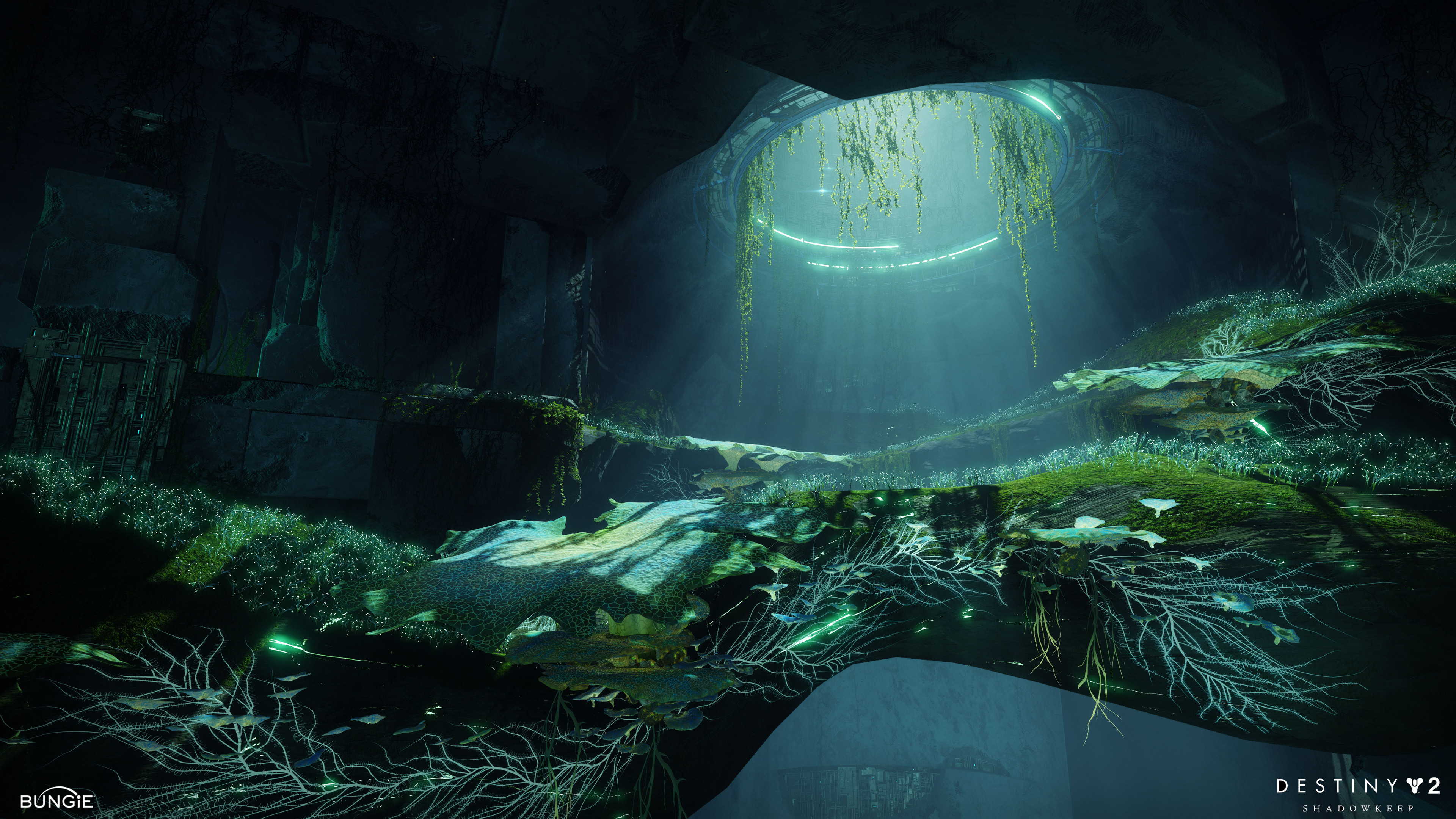 Kevin Whitmeyer - Destiny 2: Shadowkeep Garden of Salvation Raid