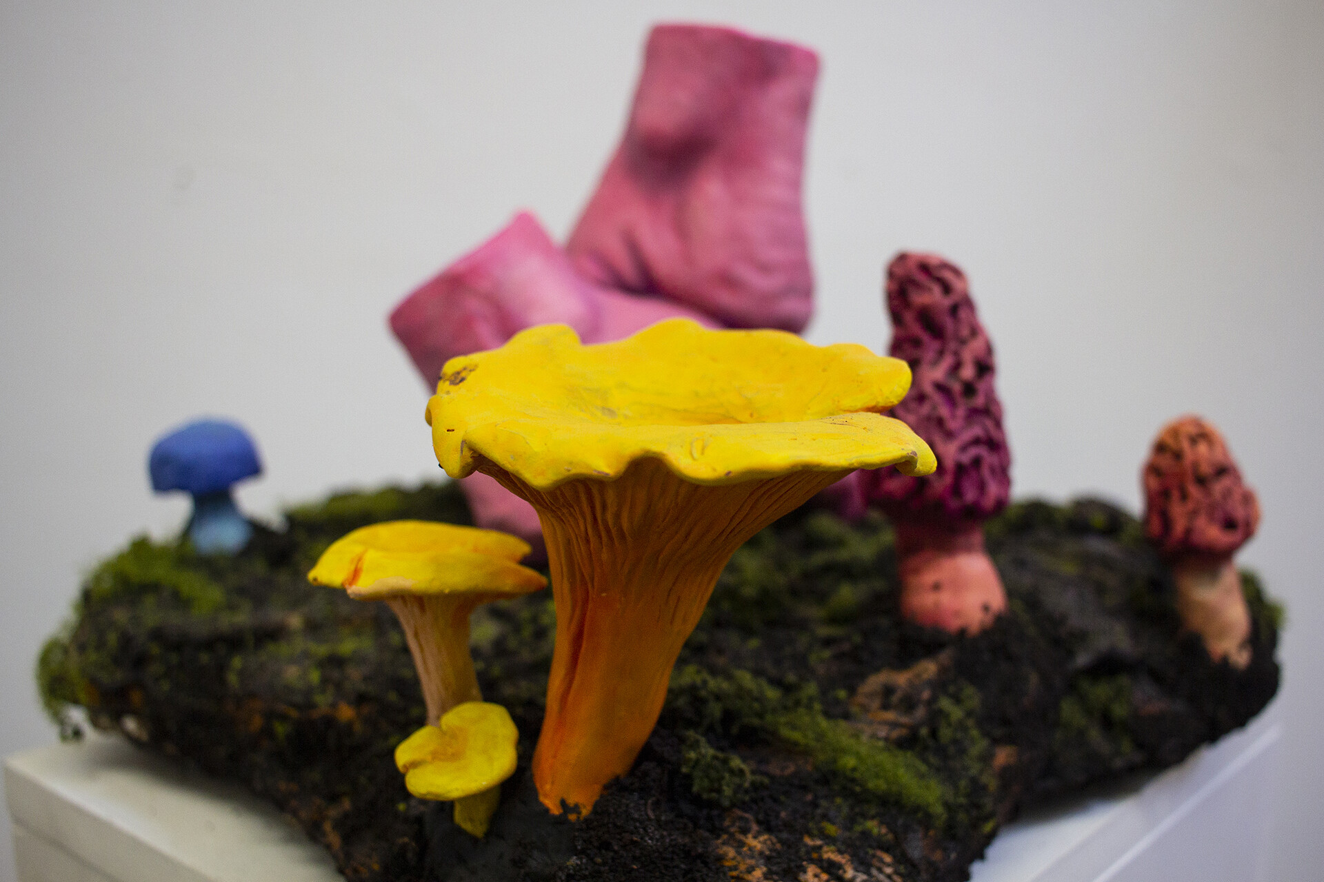 Madison Haws - Pink Crooked Feet