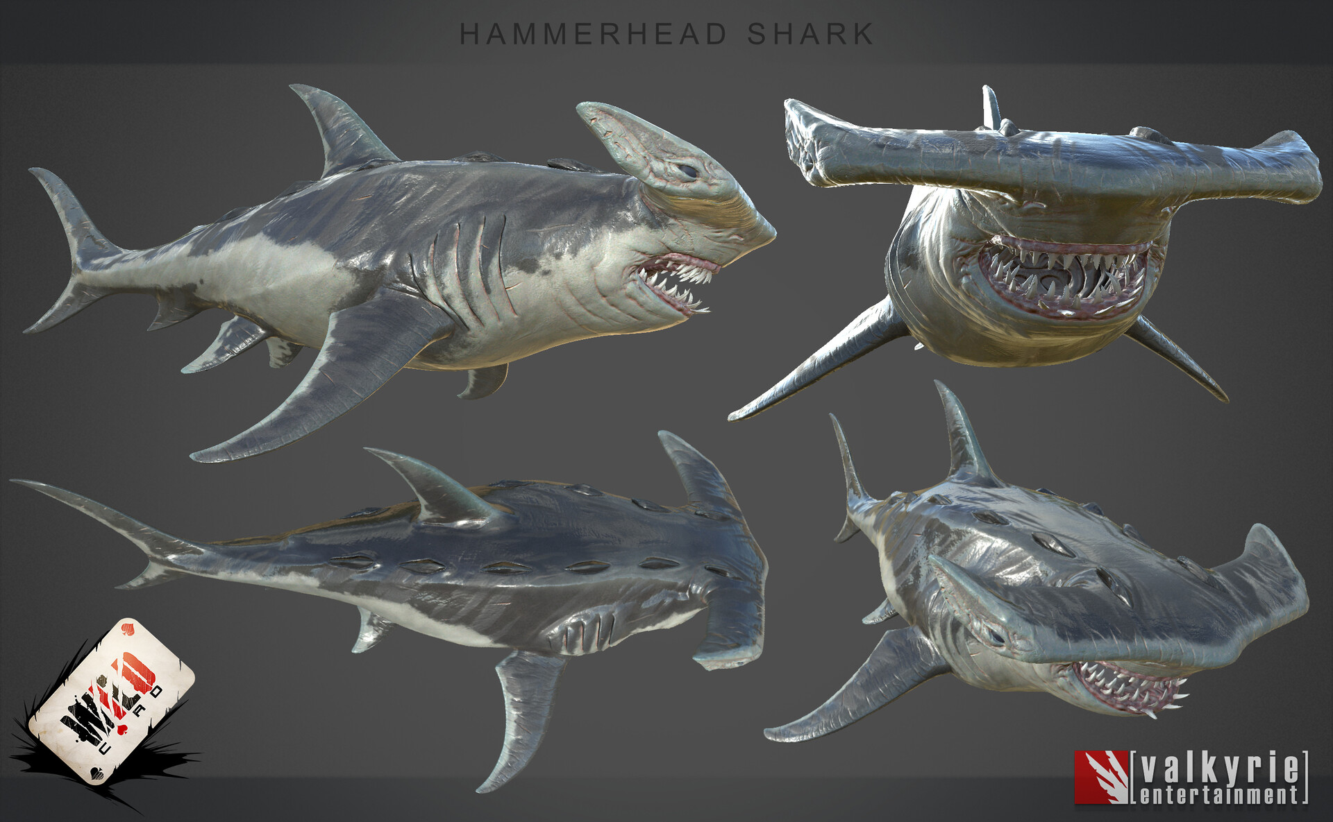 ArtStation - Atlas - Hammerhead Shark