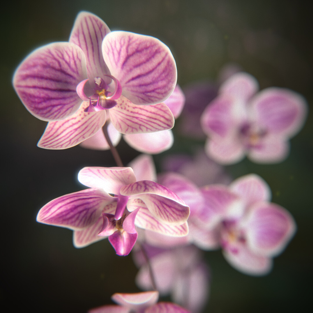 ArtStation - Orchid Loop