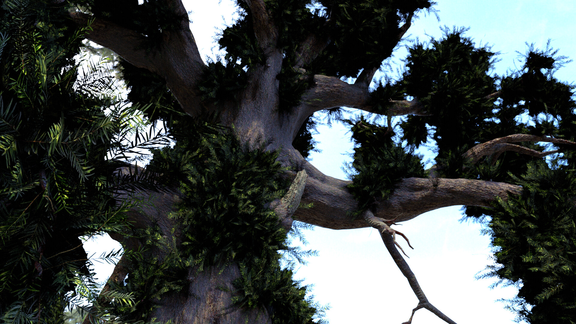 ArtStation - Summer Yew Tree