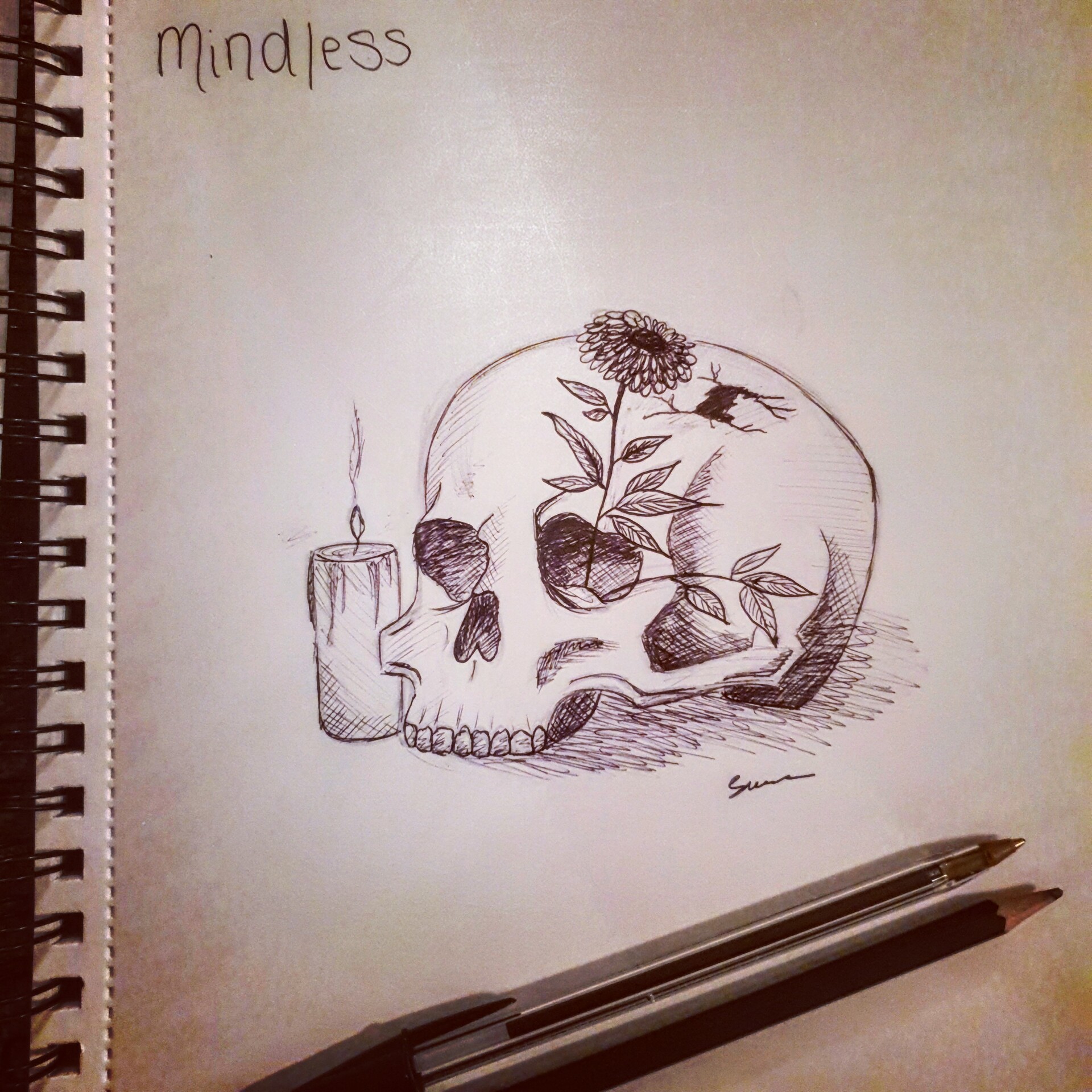 skull eye socket drawing