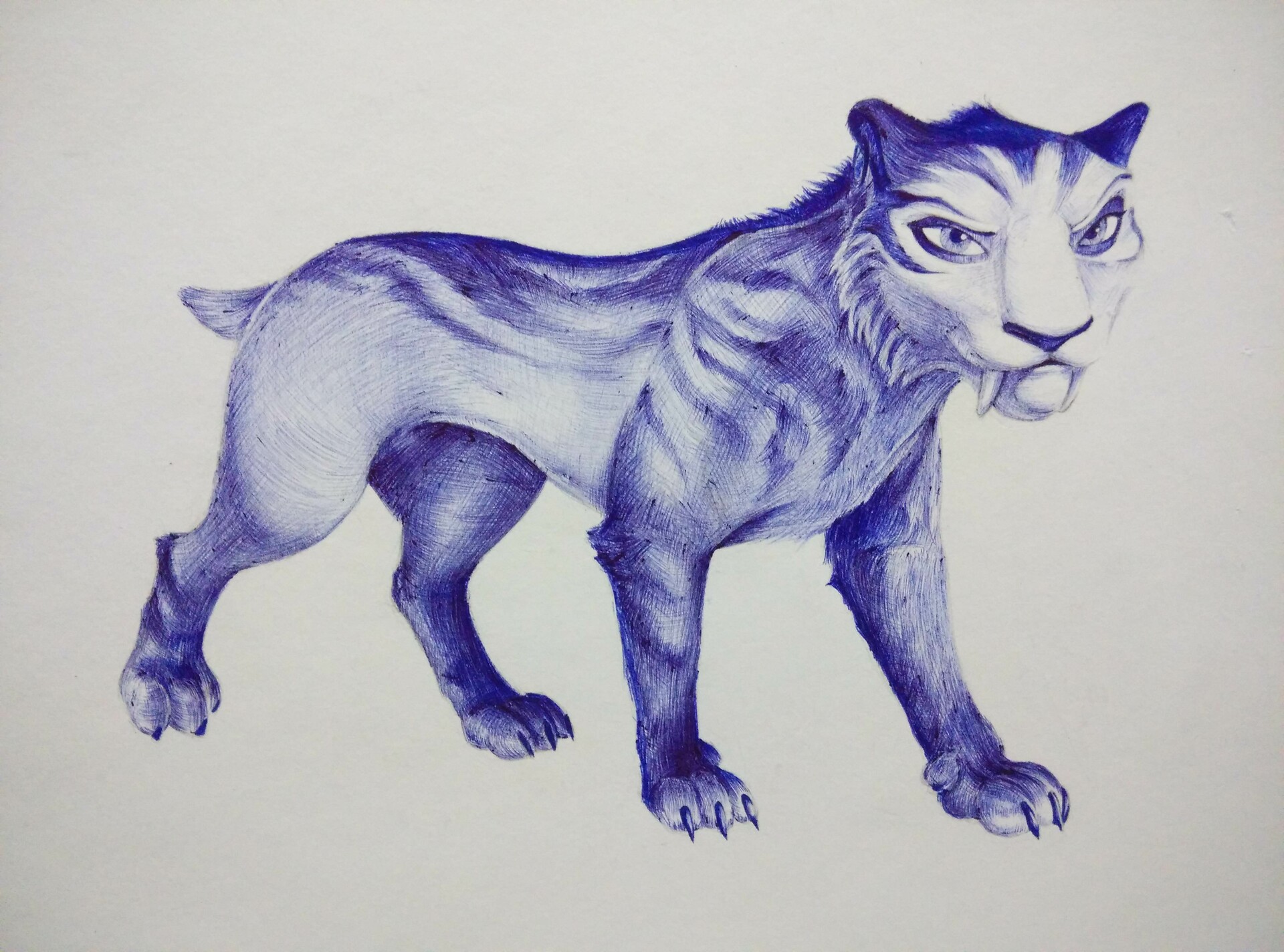 how to draw shira from ice age