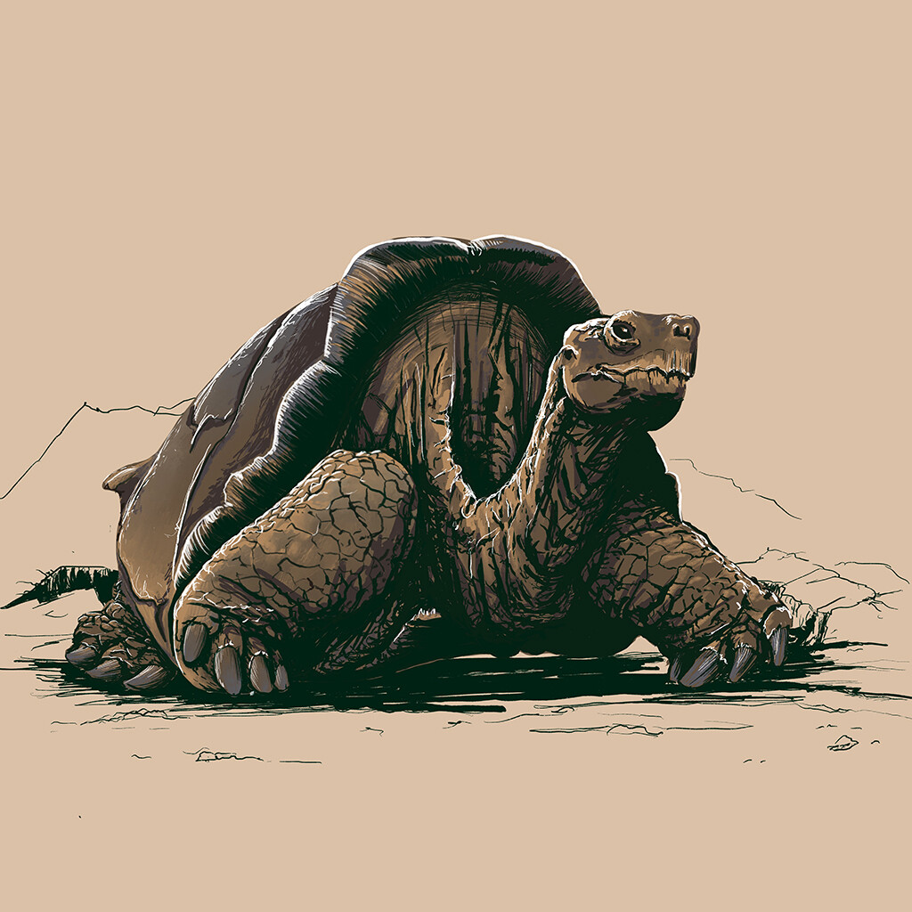 ArtStation - Galápagos tortoise
