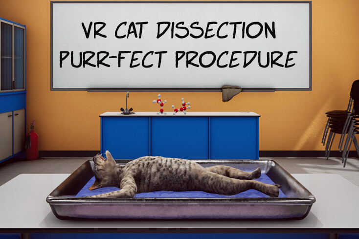 Aaron Hagens - VR Cat Dissection: Purr-fect Procedure