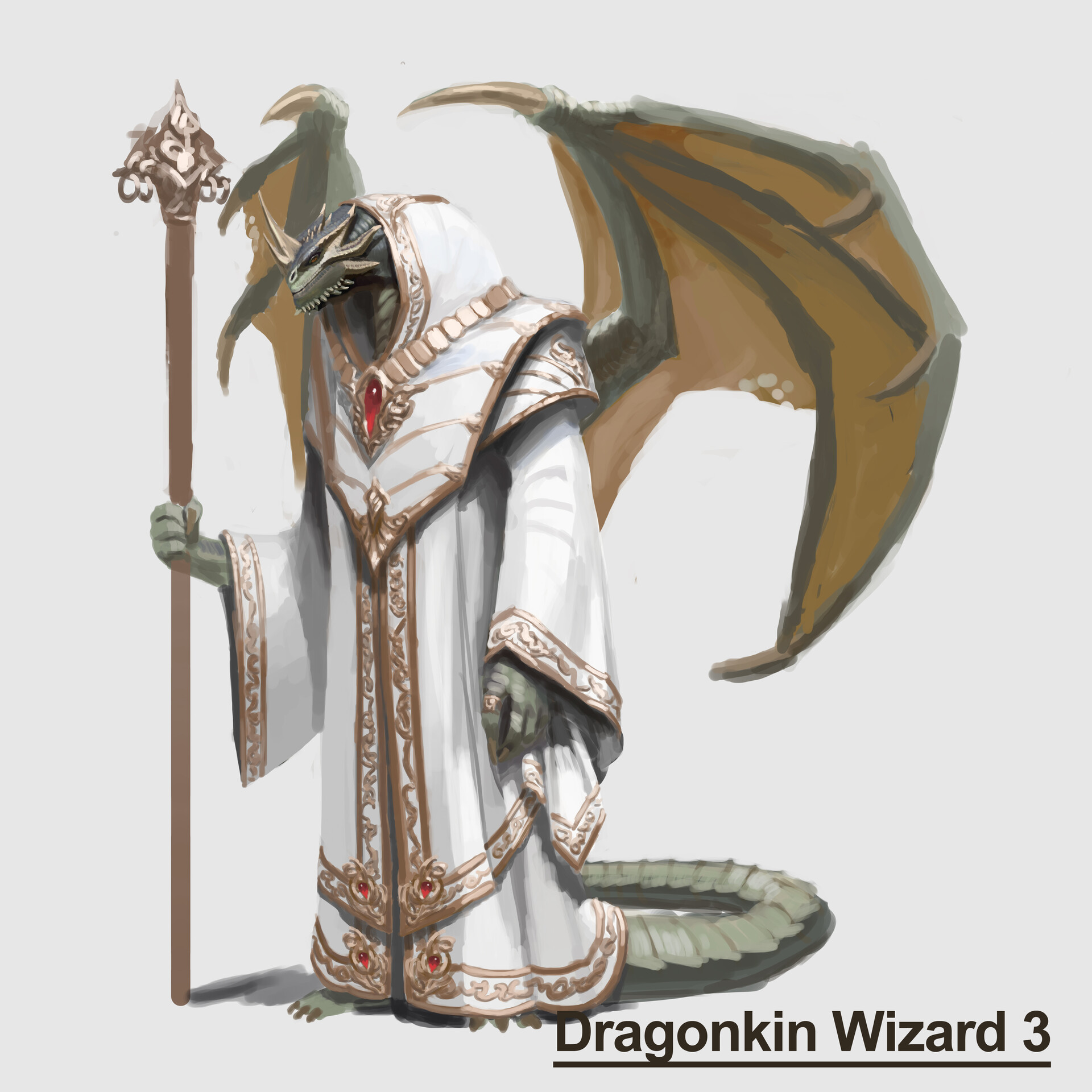 half dragon wizard